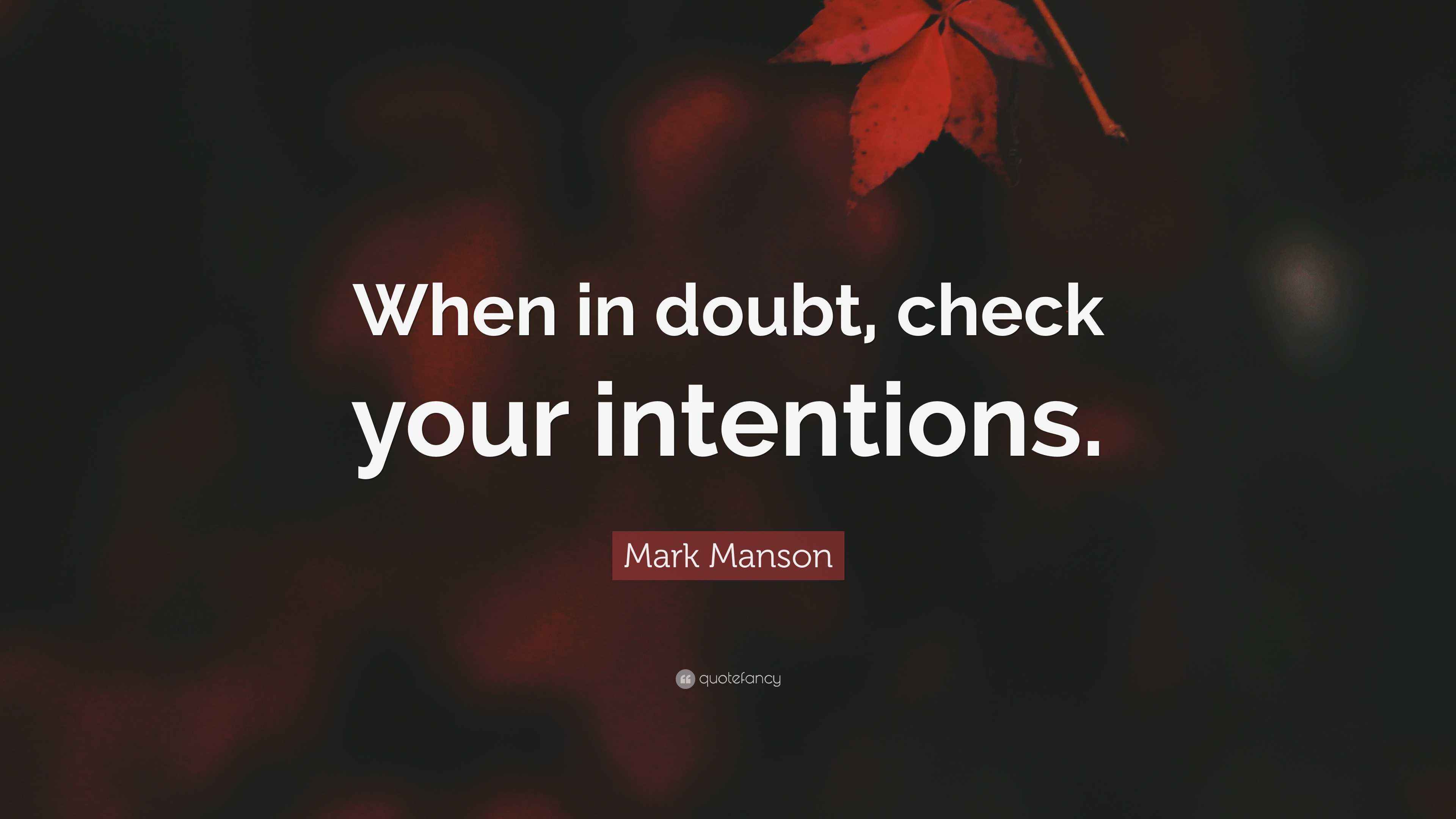 Mark Manson Quote: “When in doubt, check your intentions.”