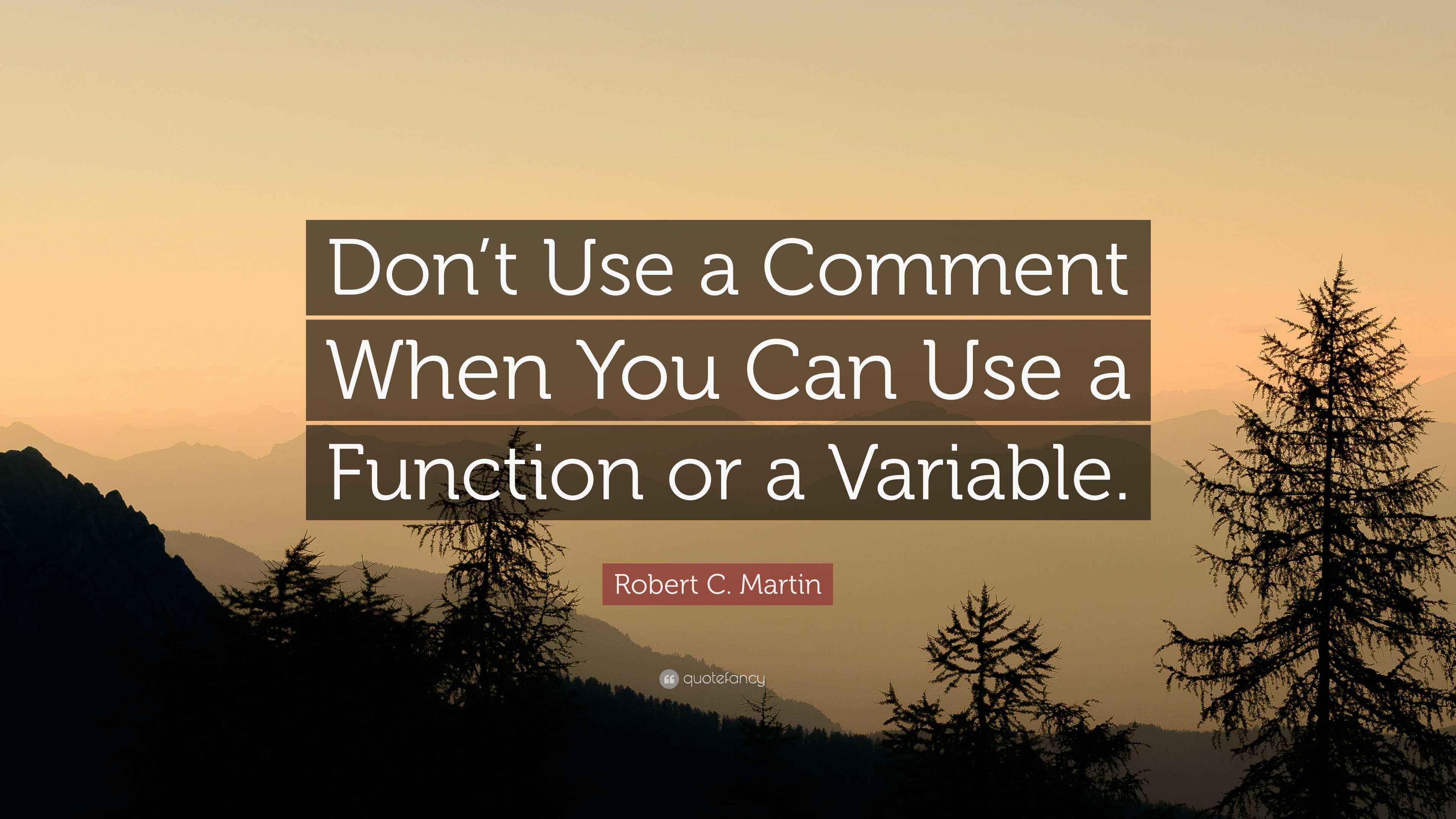 Robert C. Martin Quote: “Don’t Use a Comment When You Can Use a ...