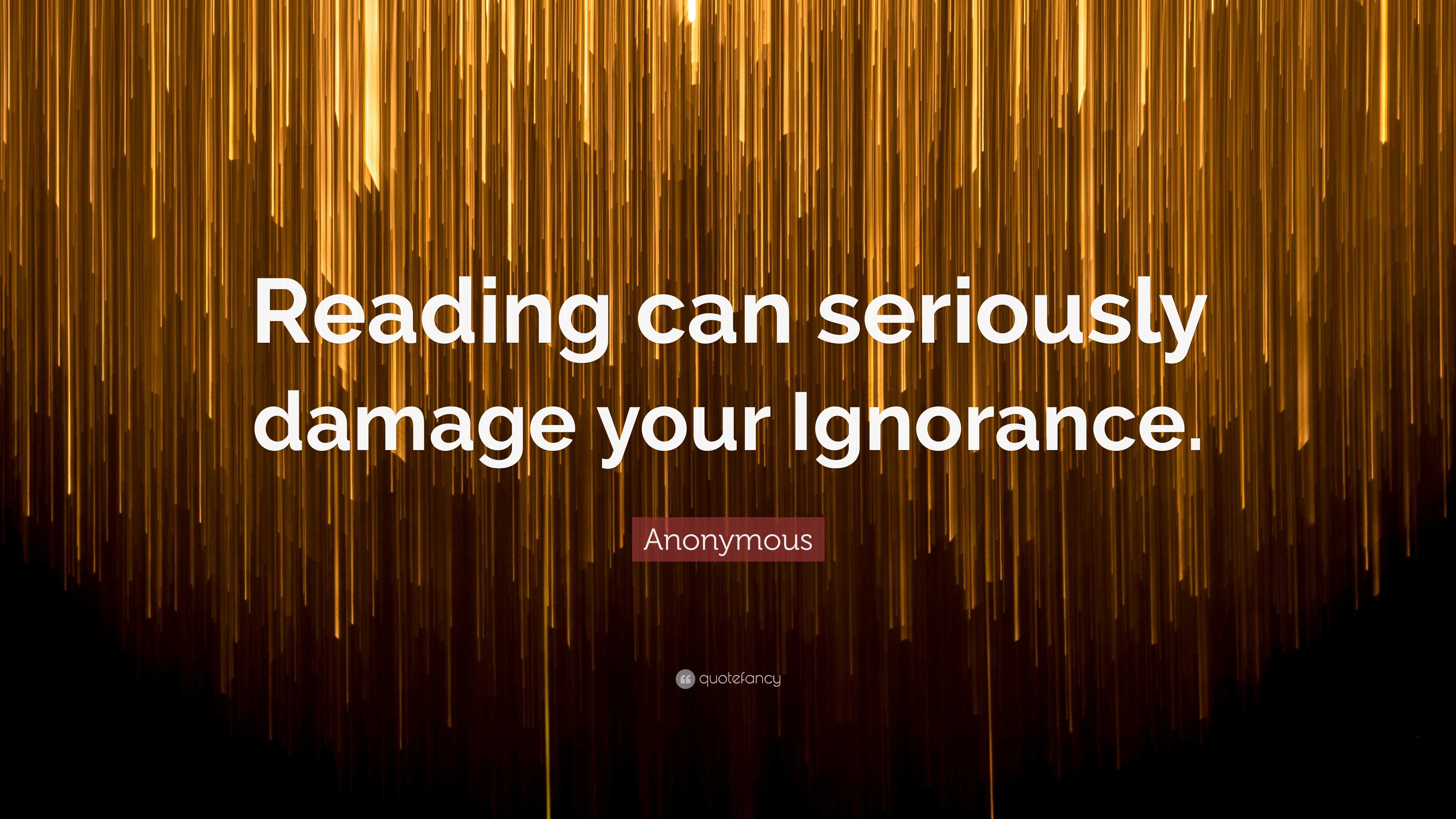 Anonymous Quote: “Reading can seriously damage your Ignorance.”
