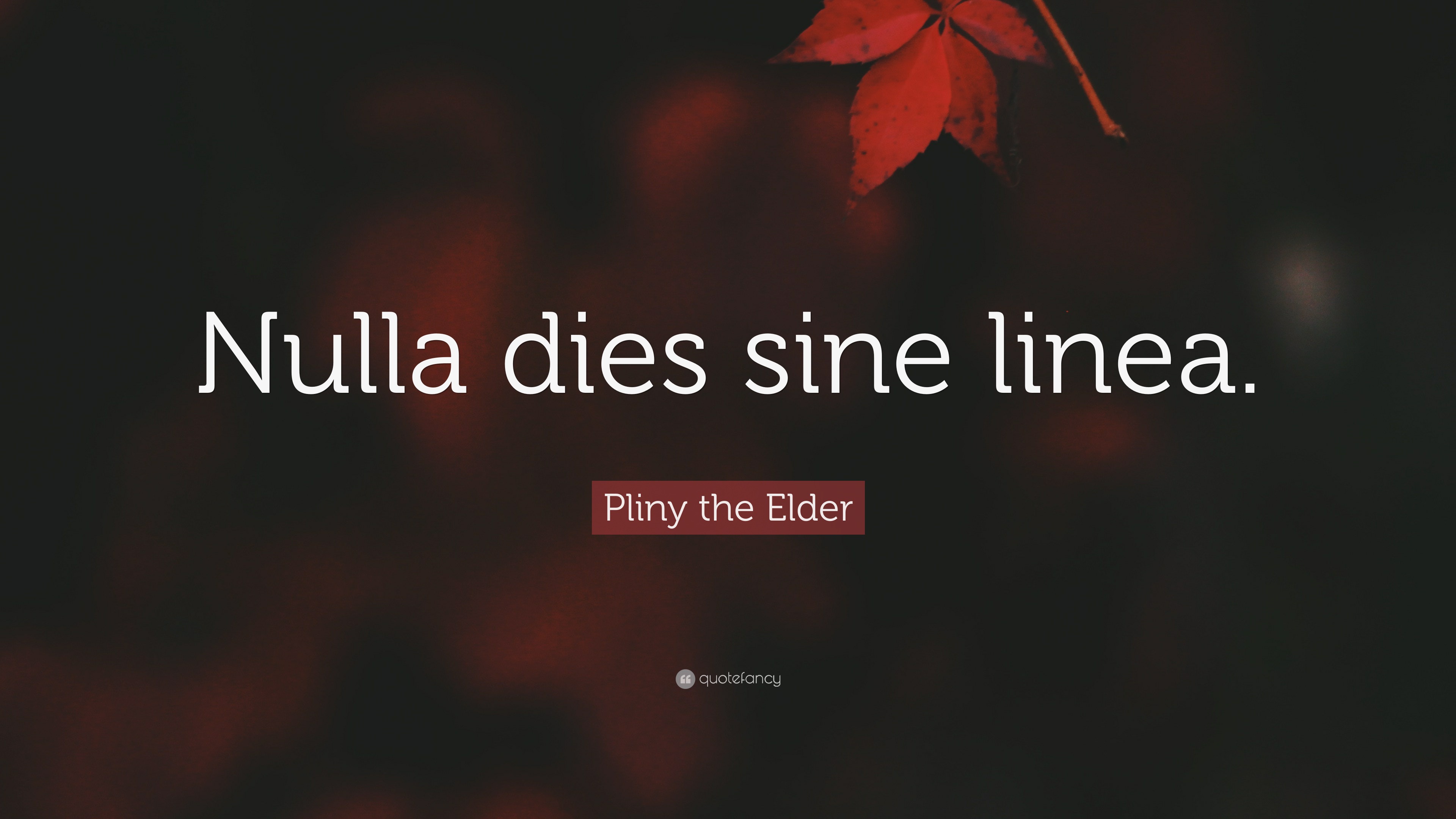 Pliny the Elder Quote: “Nulla dies sine linea.”