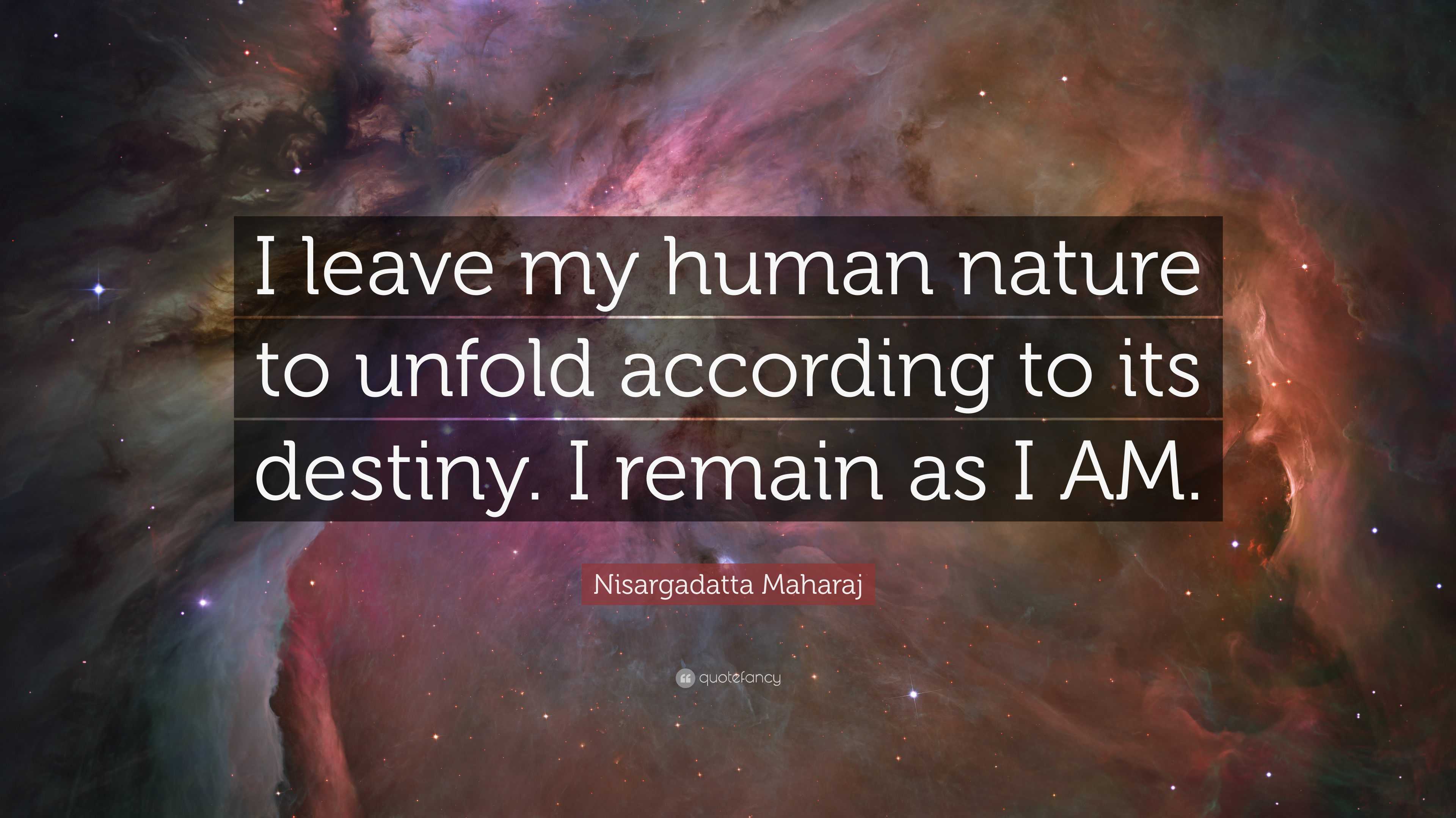 Nisargadatta Maharaj Quote: “I leave my human nature to unfold ...