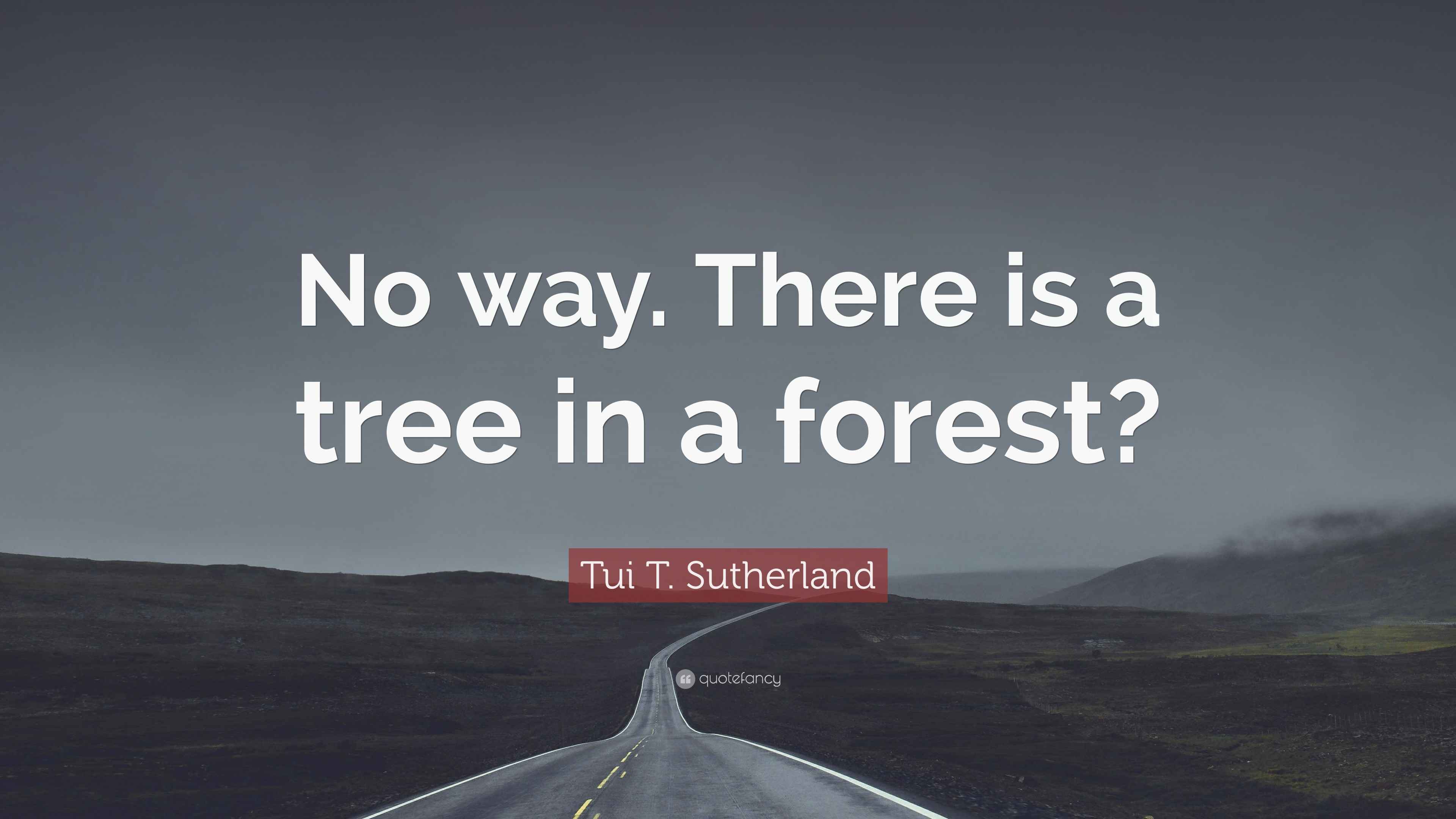 Tui T. Sutherland Quote: “No way. There is a tree in a forest?”
