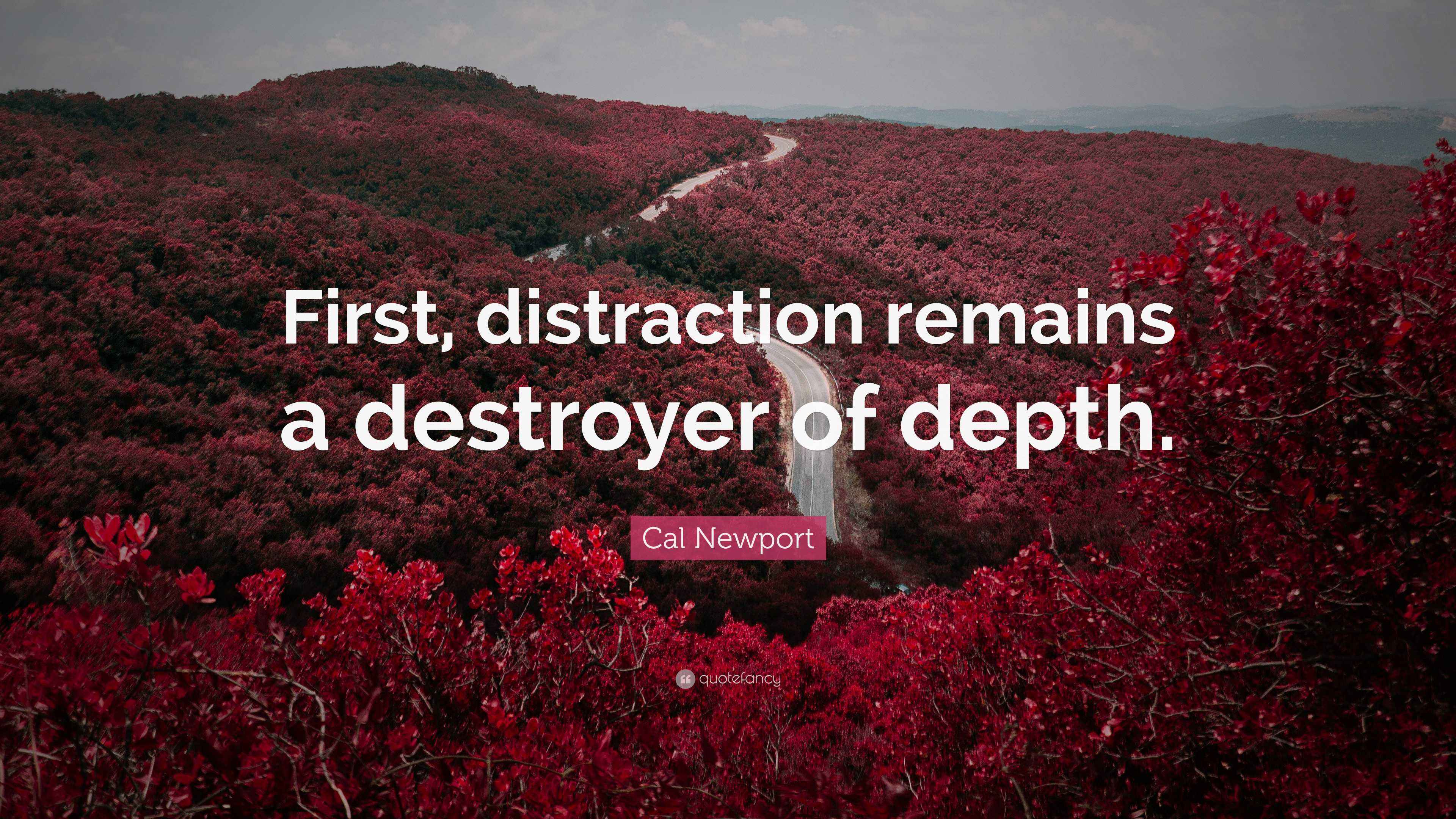 Cal Newport Quote: “First, distraction remains a destroyer of depth.”