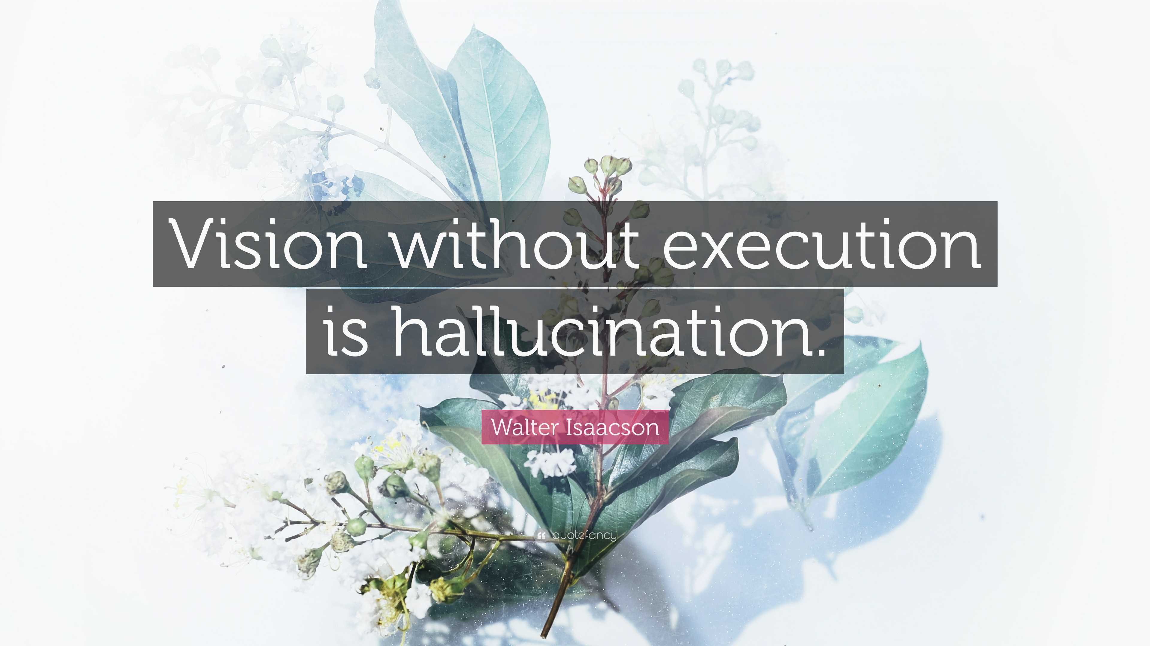 Walter Isaacson Quote: “Vision without execution is hallucination.”