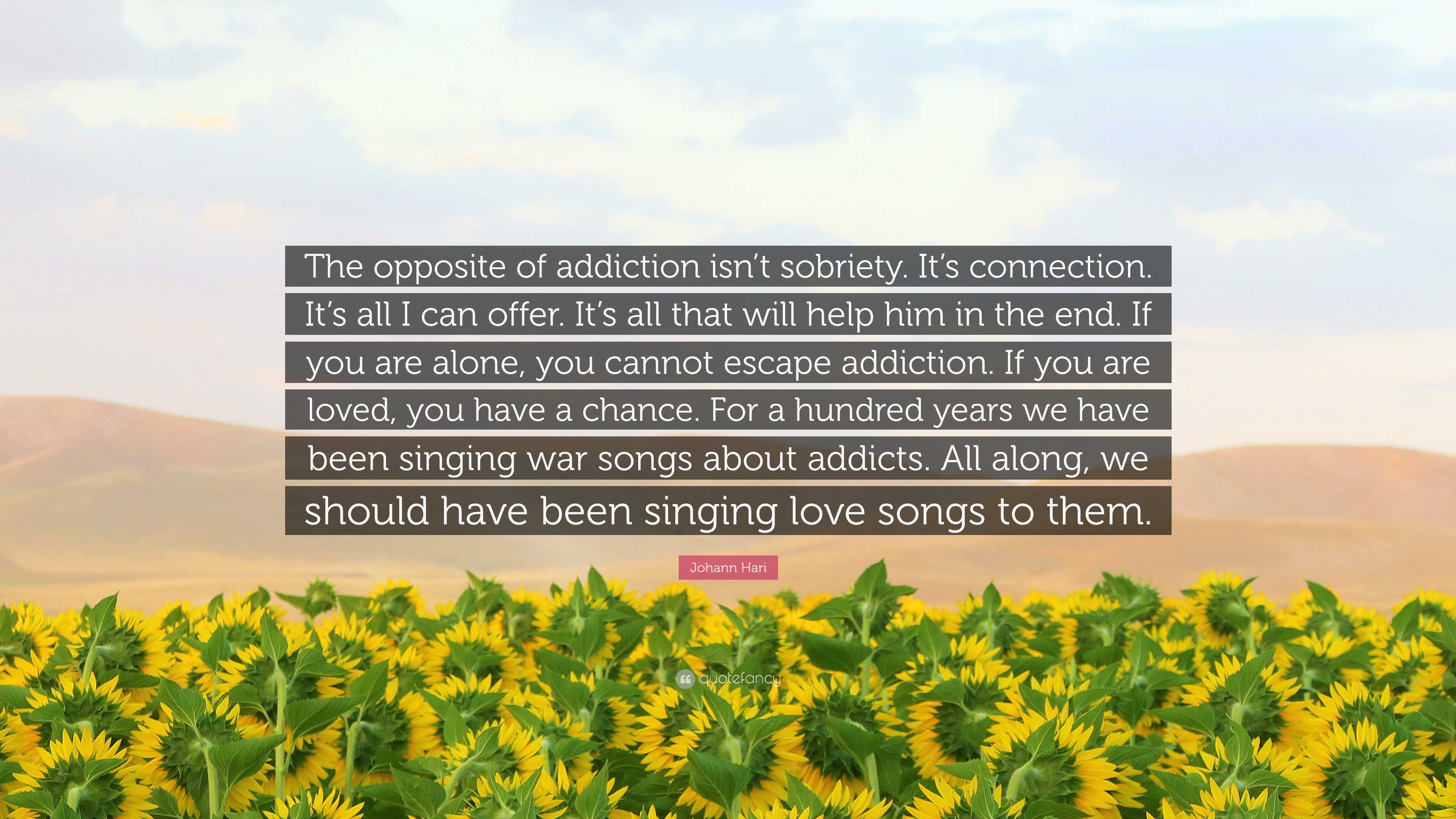 Johann Hari Quote: “The opposite of addiction isn’t sobriety. It’s ...