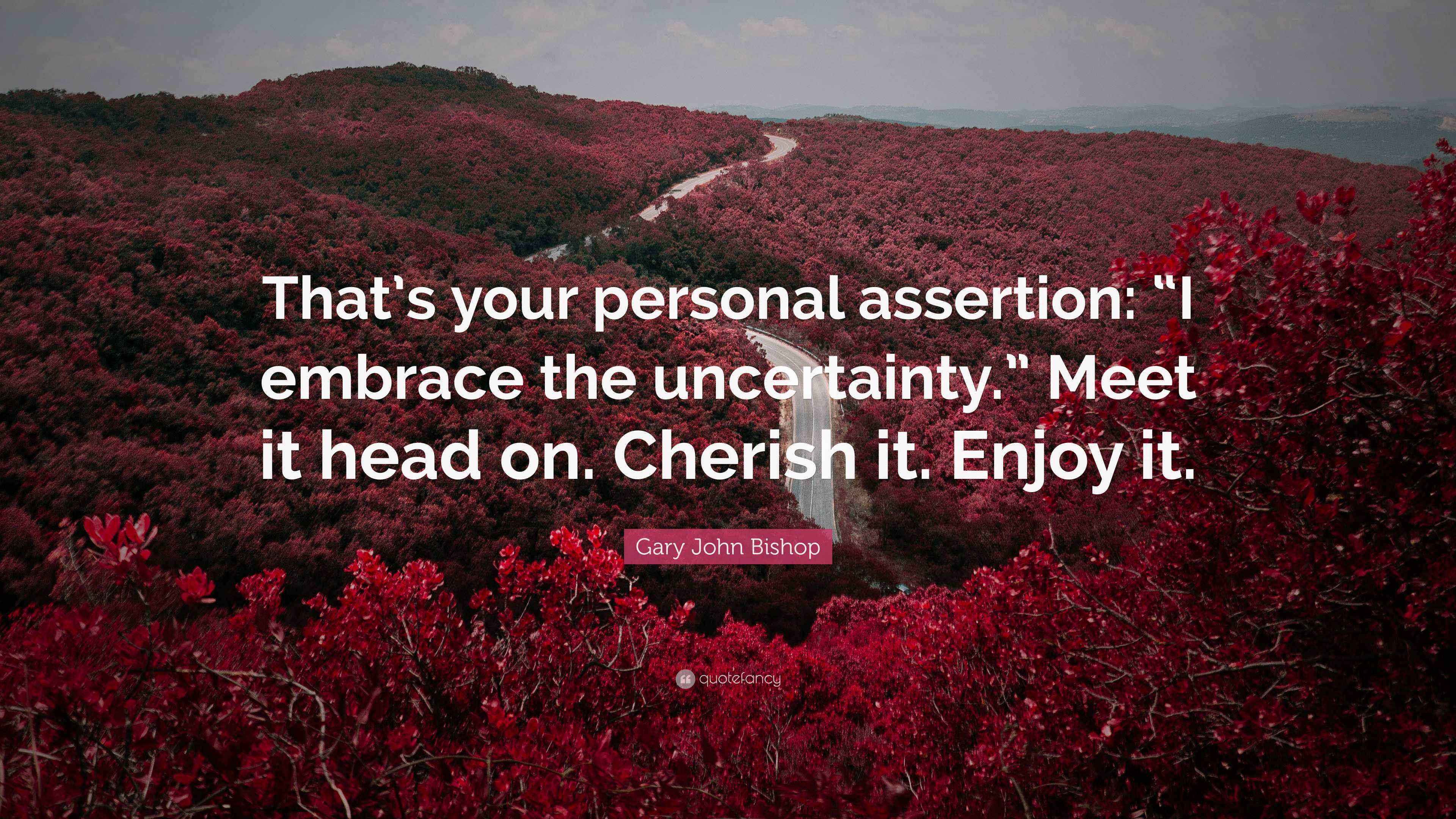Gary John Bishop Quote: “That’s your personal assertion: “I embrace the ...