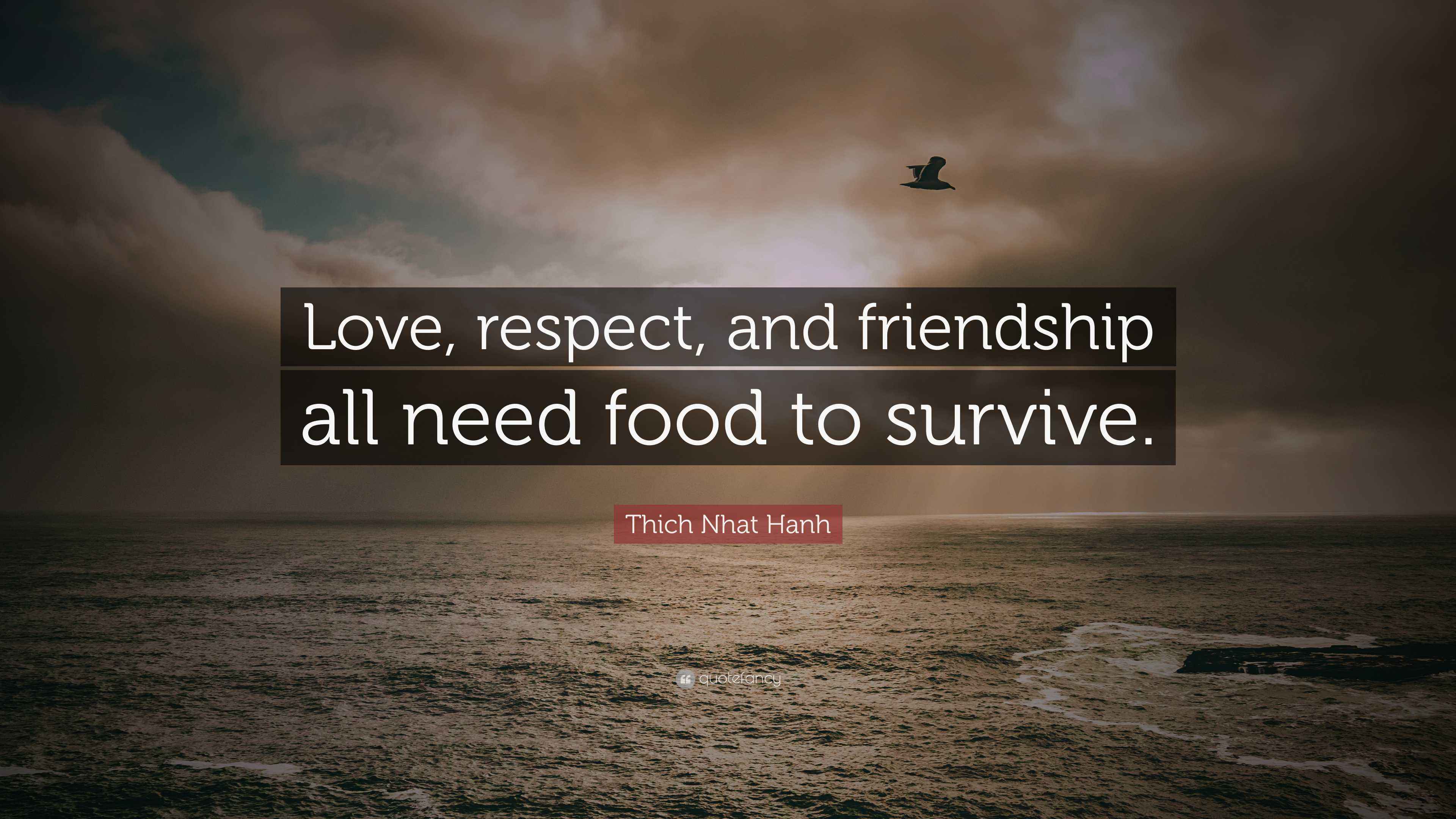 Thich Nhat Hanh Quote: “Love, respect, and friendship all need food to ...
