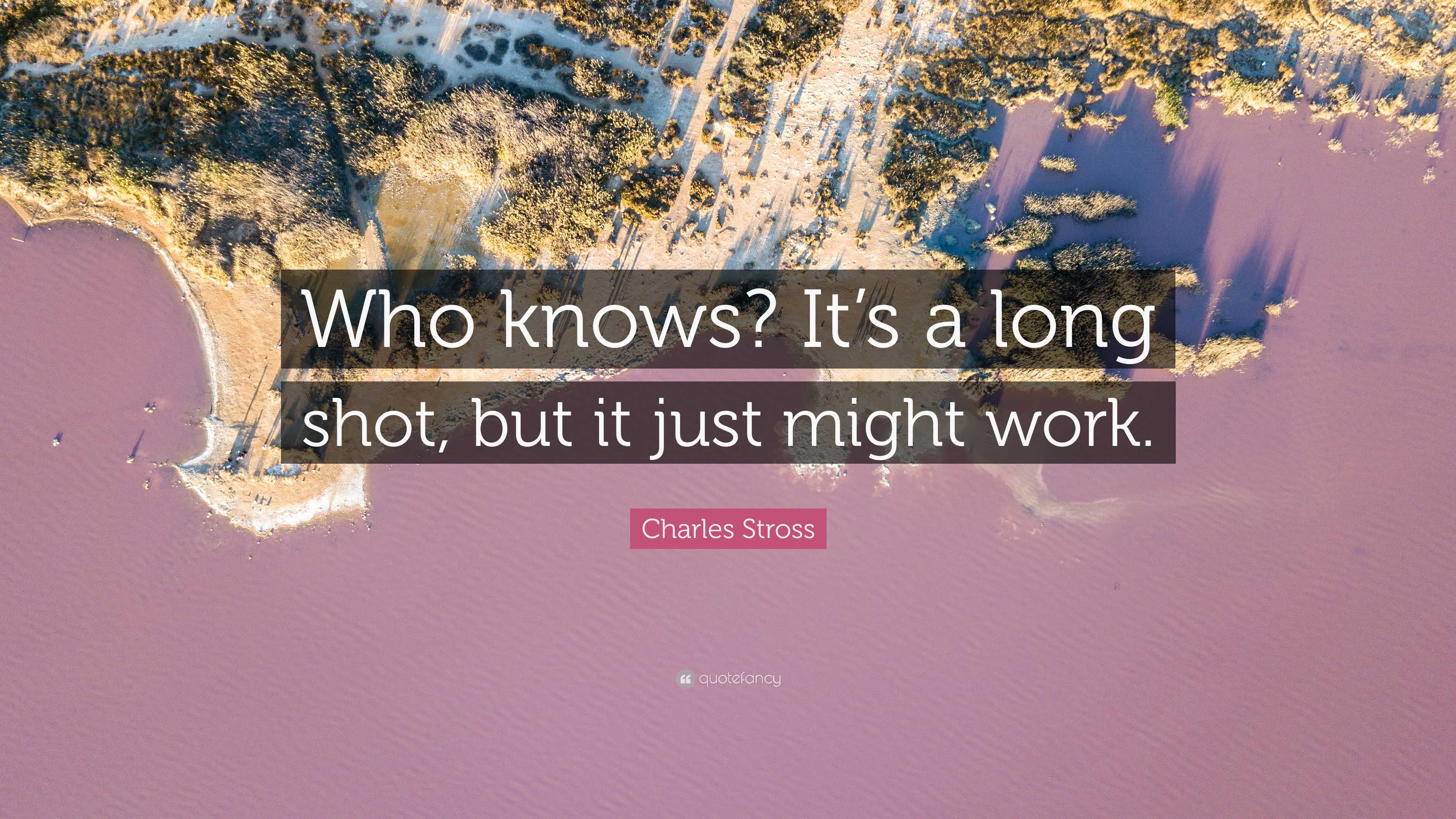 Charles Stross Quote: “Who knows? It’s a long shot, but it just might ...