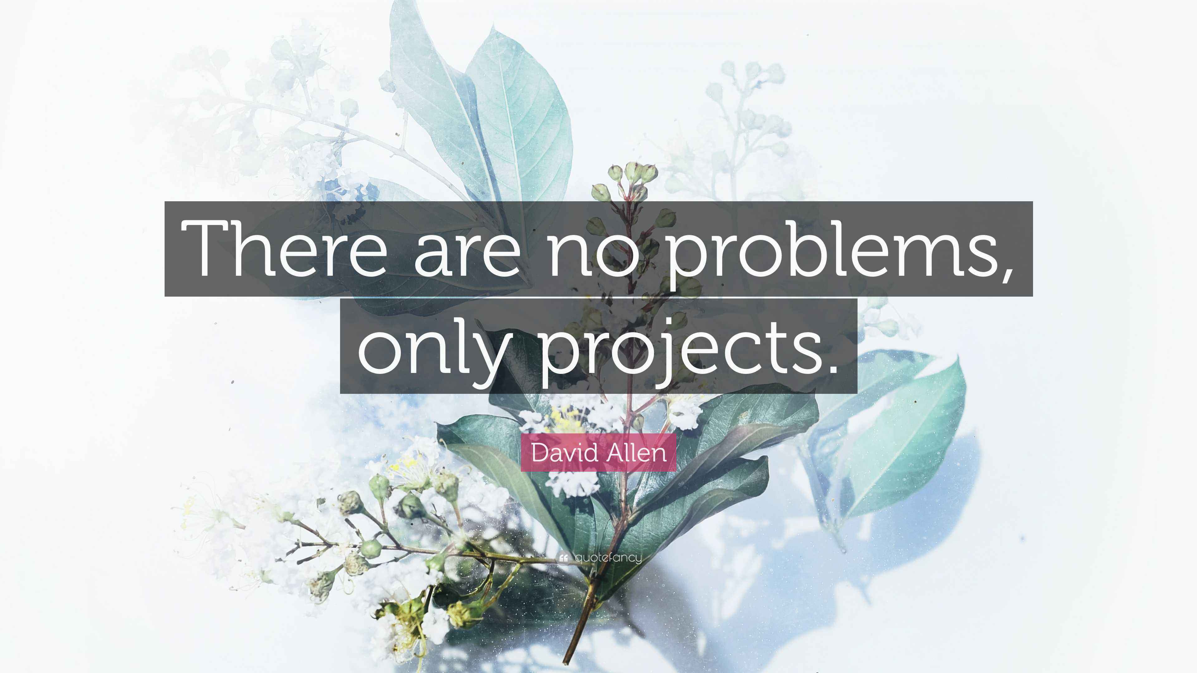 David Allen Quote: “There are no problems, only projects.”