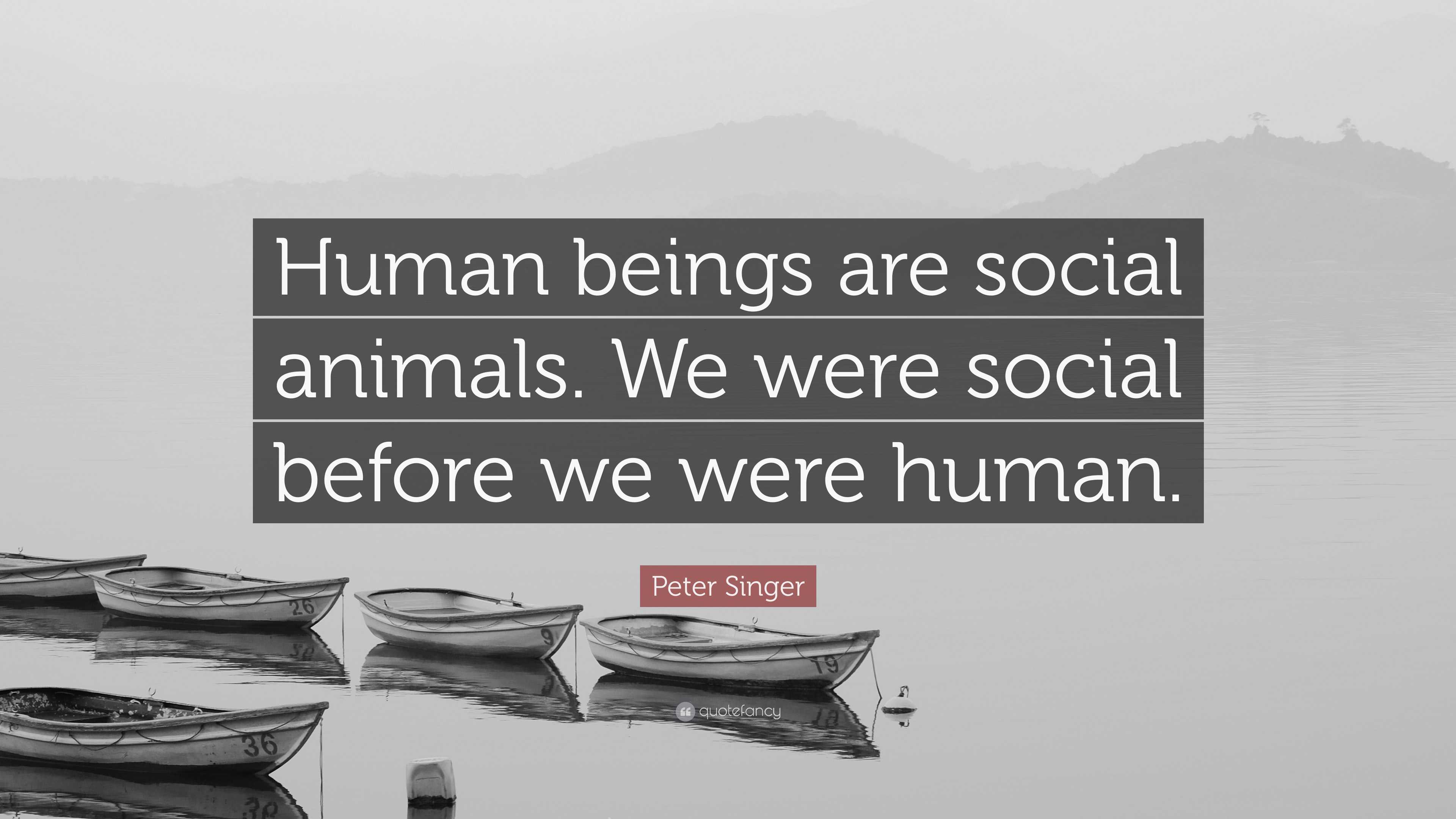 Peter Singer Quote: “Human beings are social animals. We were social ...