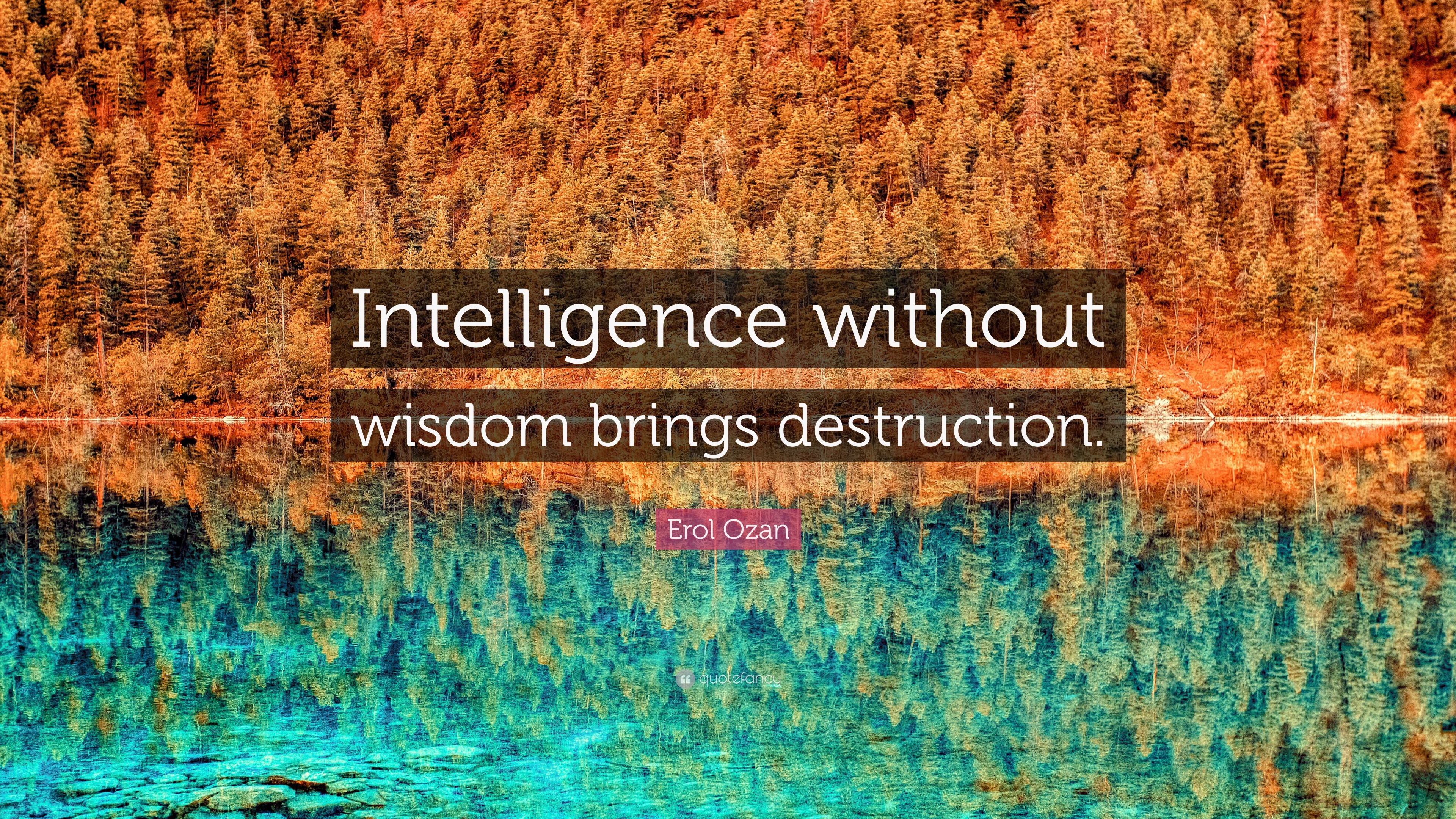 Erol Ozan Quote: “Intelligence without wisdom brings destruction.”