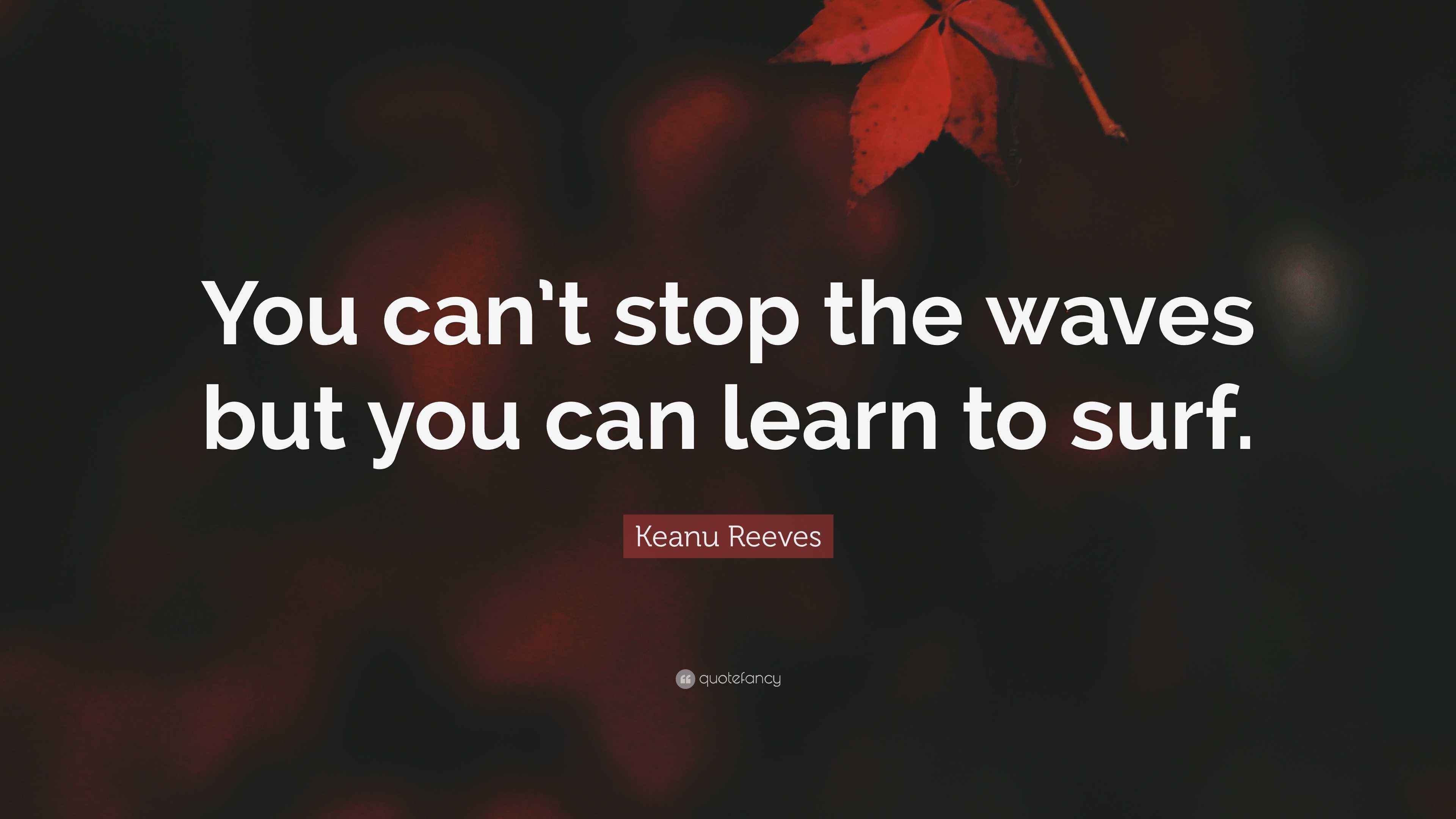 Keanu Reeves Quote: “You can’t stop the waves but you can learn to surf.”
