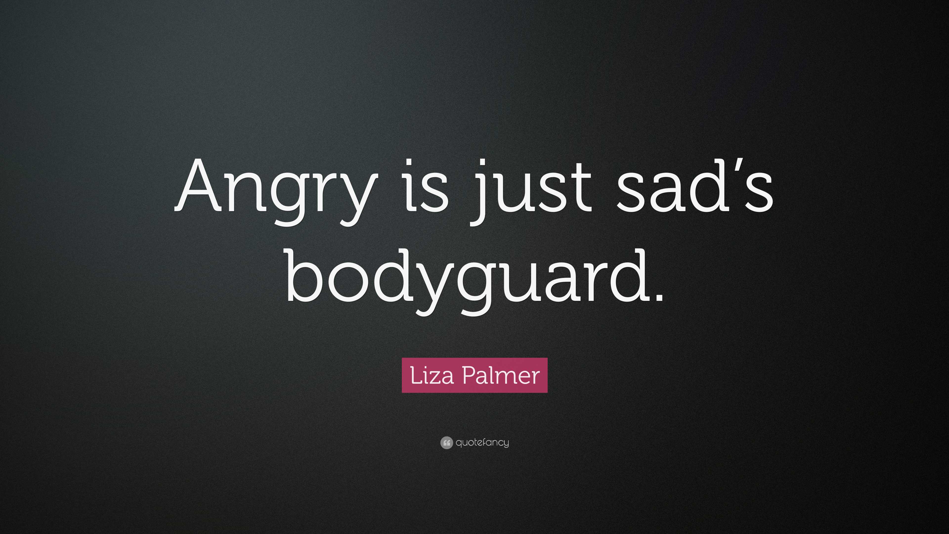 Liza Palmer Quote: “Angry is just sad’s bodyguard.”