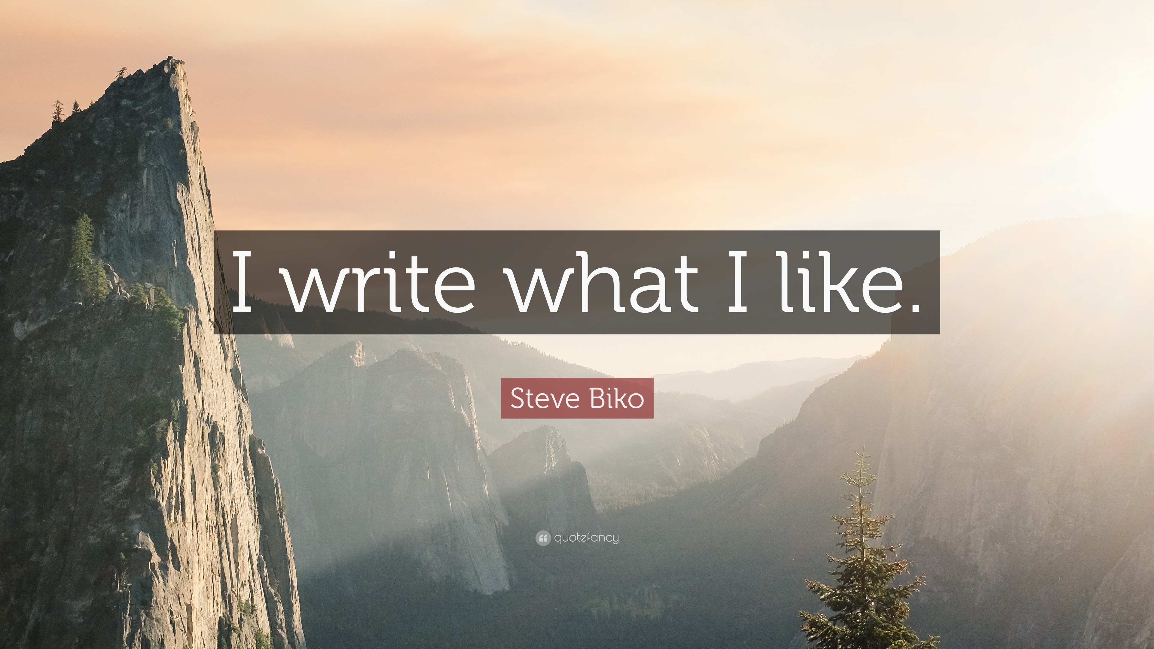 Steve Biko Quote: “I write what I like.”