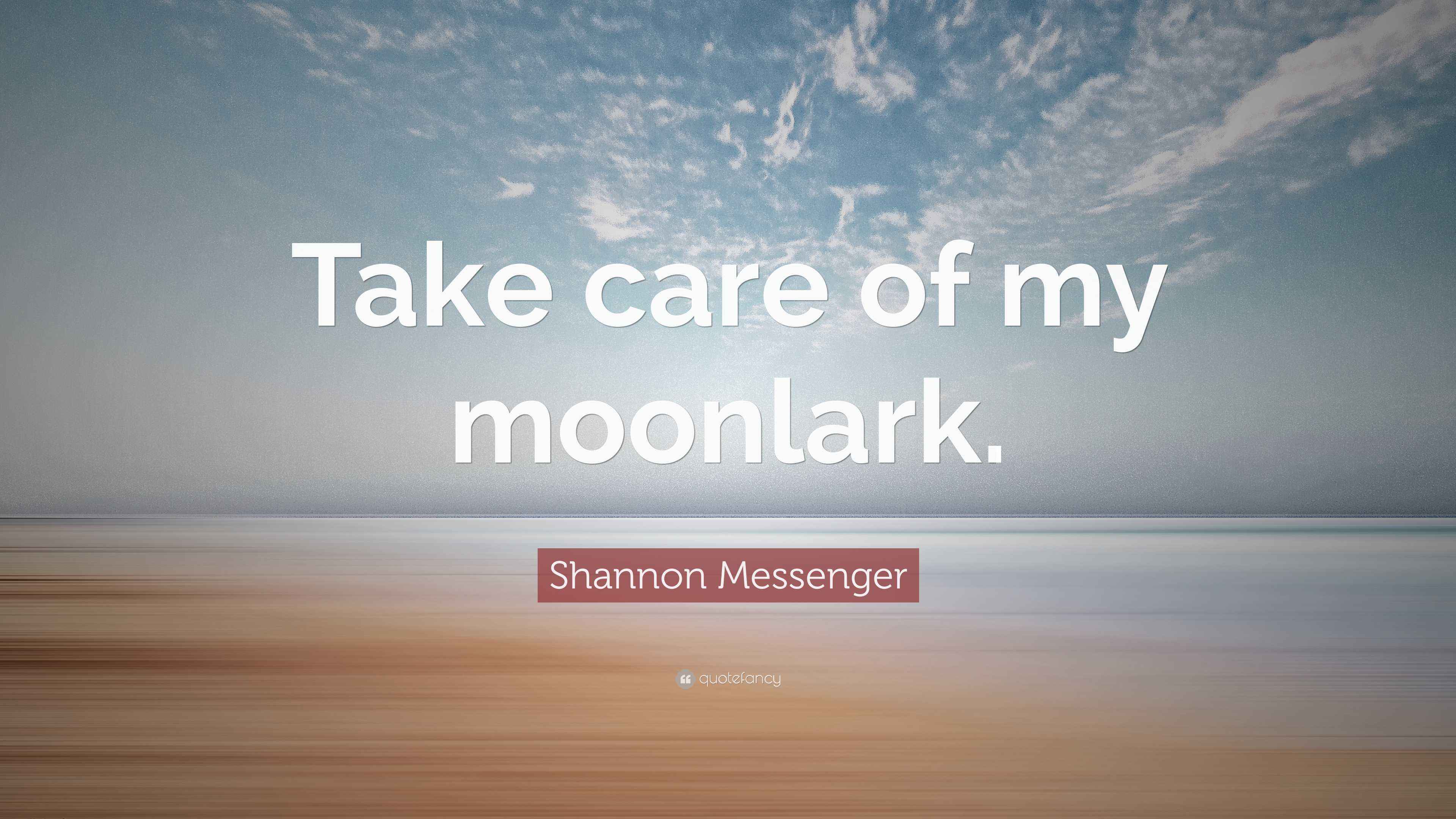 Shannon Messenger Quote: “Take care of my moonlark.”
