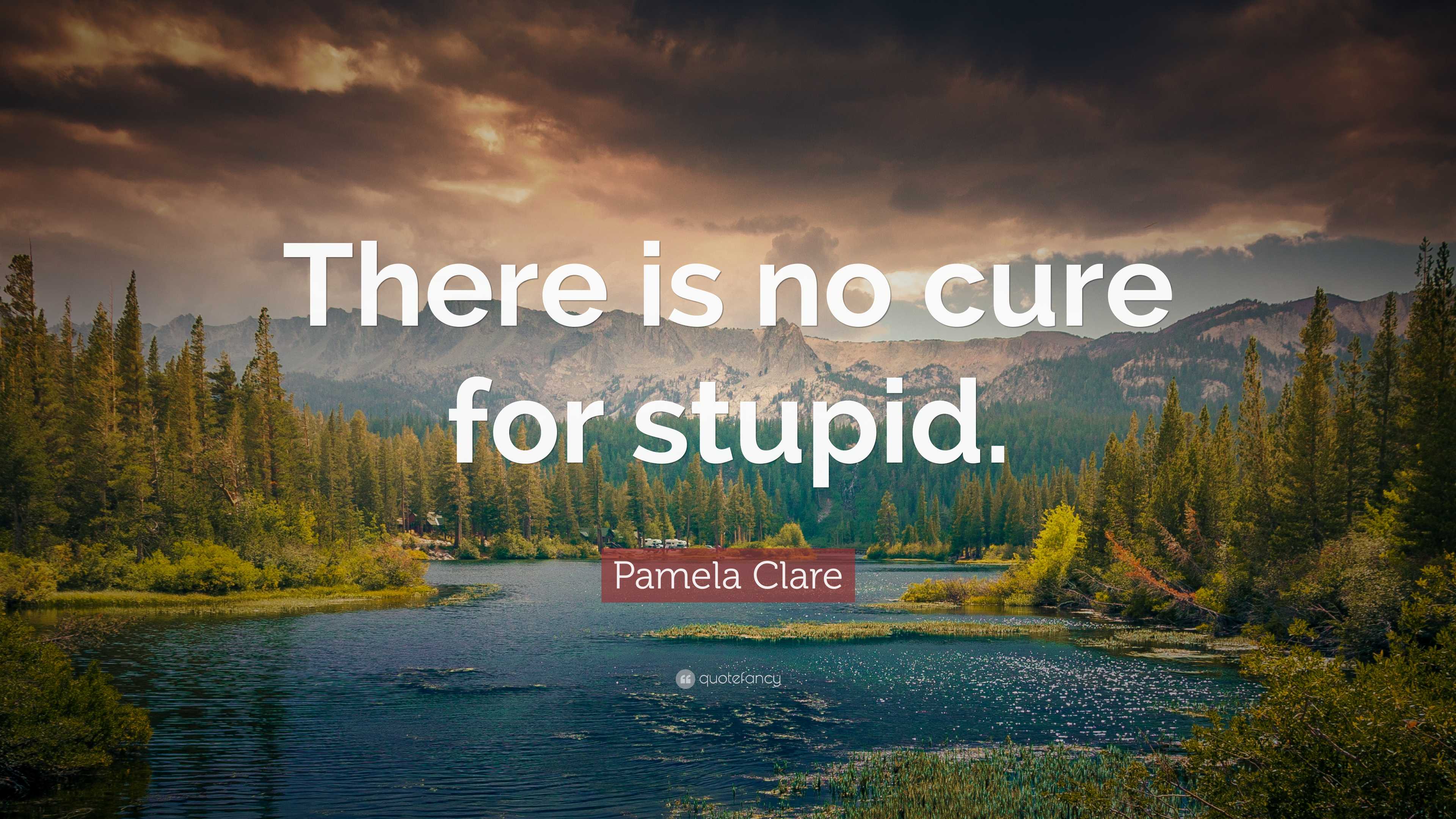 Pamela Clare Quote: “There is no cure for stupid.”