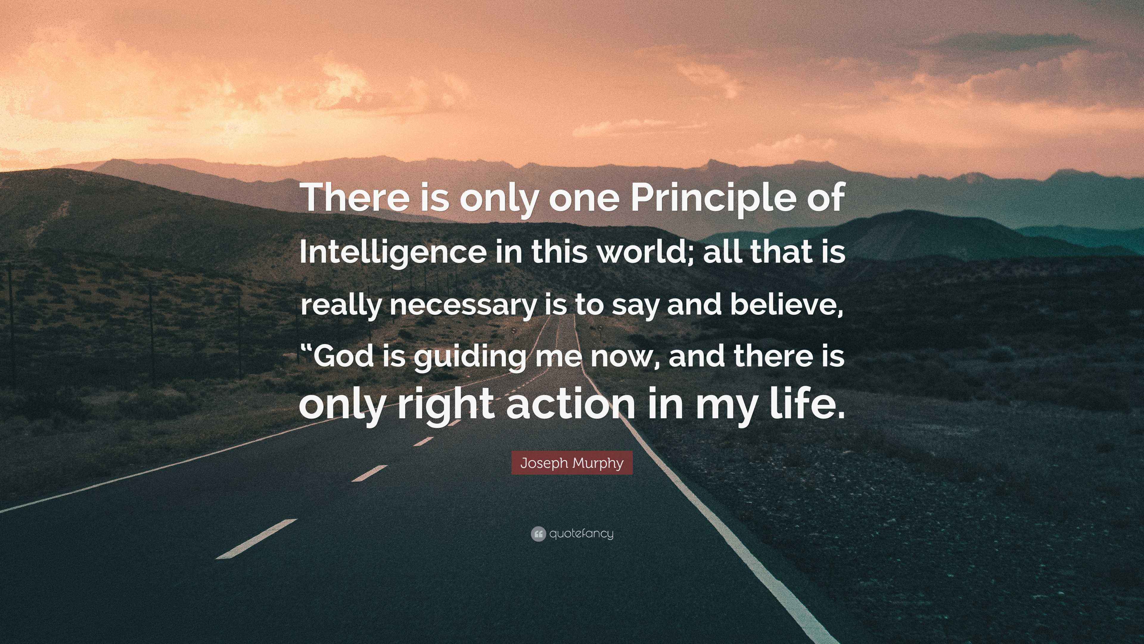 Joseph Murphy Quote: “There is only one Principle of Intelligence in ...