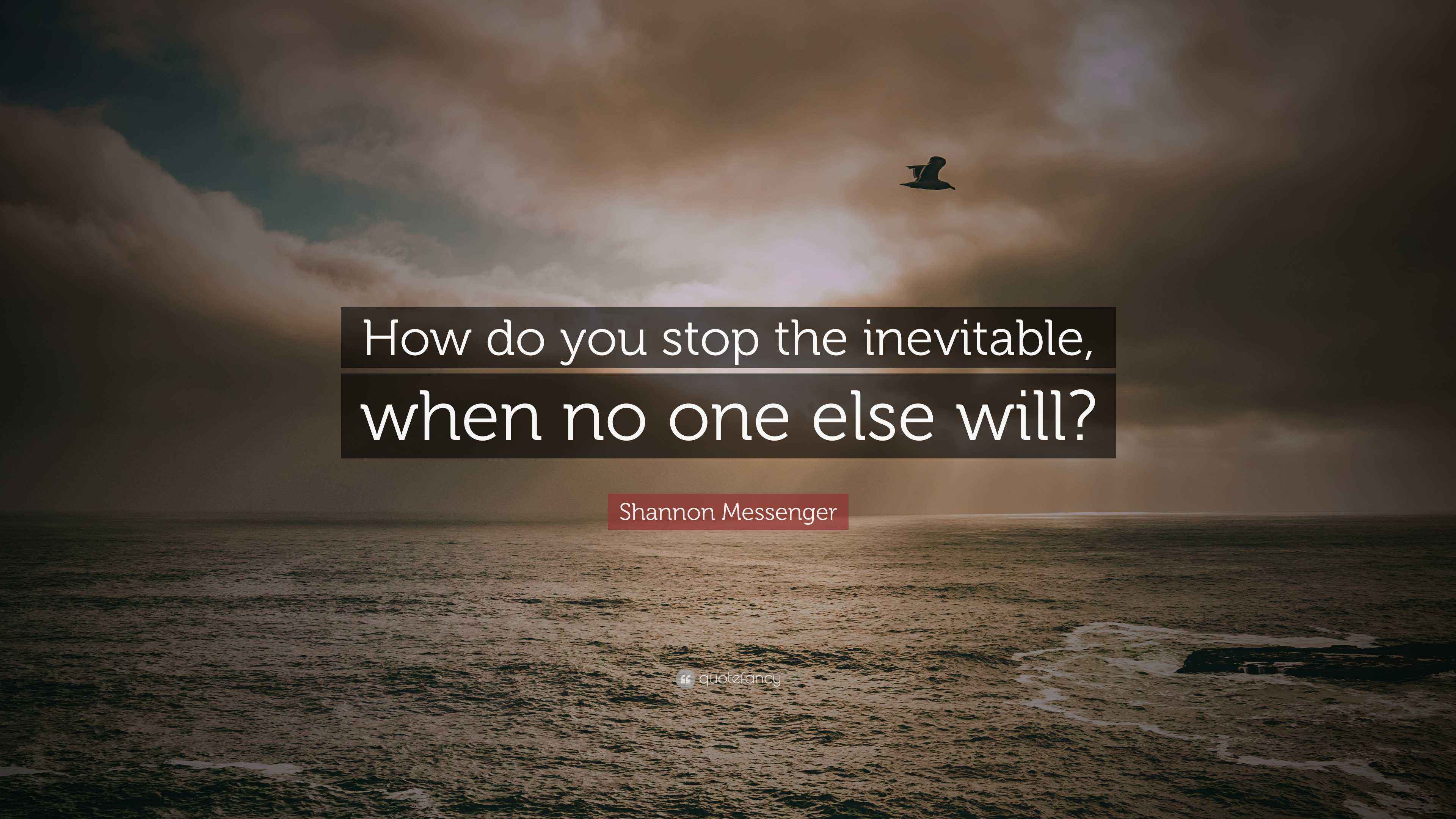 Shannon Messenger Quote: “How do you stop the inevitable, when no one ...