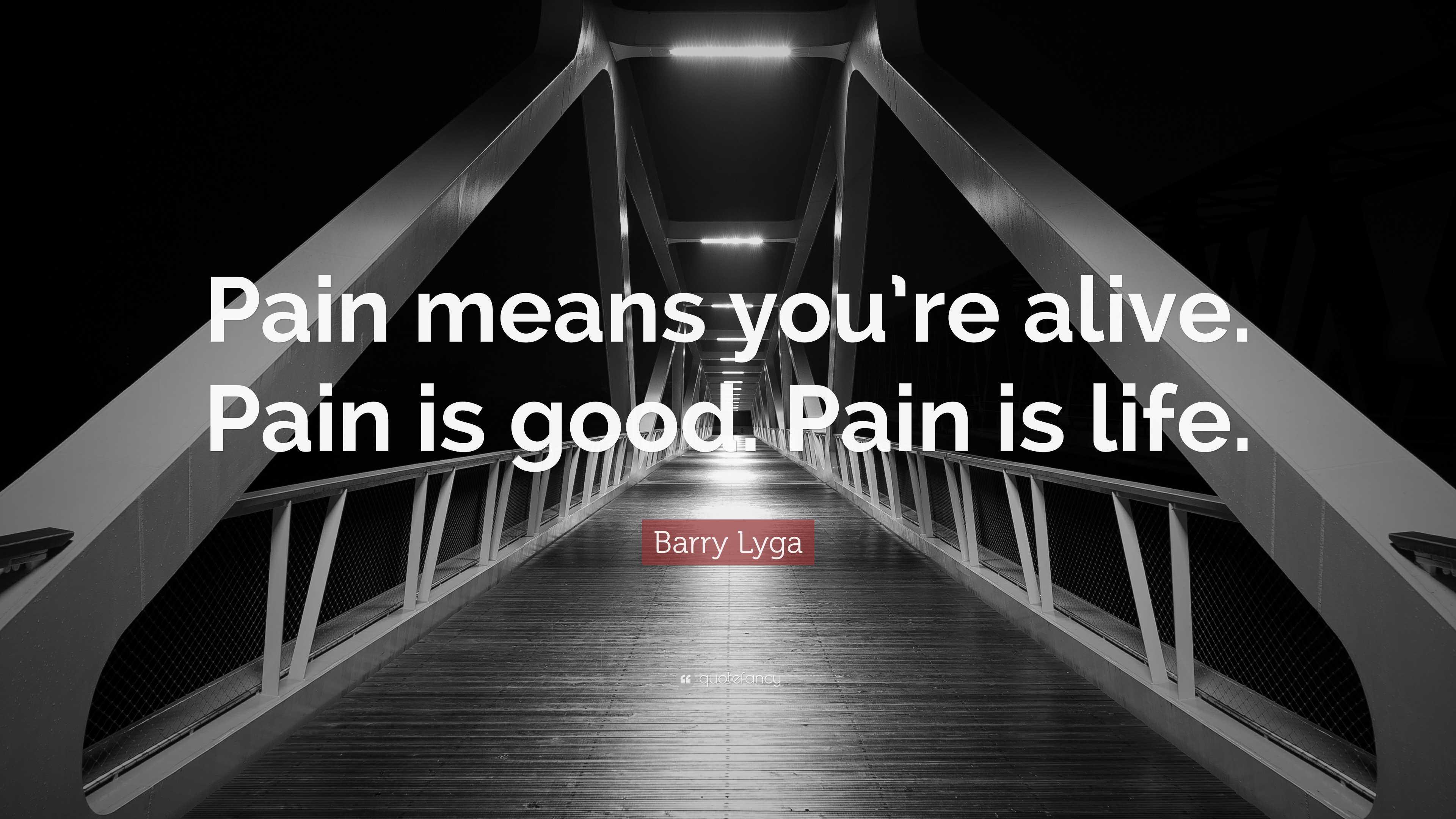 Barry Lyga Quote: “Pain means you’re alive. Pain is good. Pain is life.”