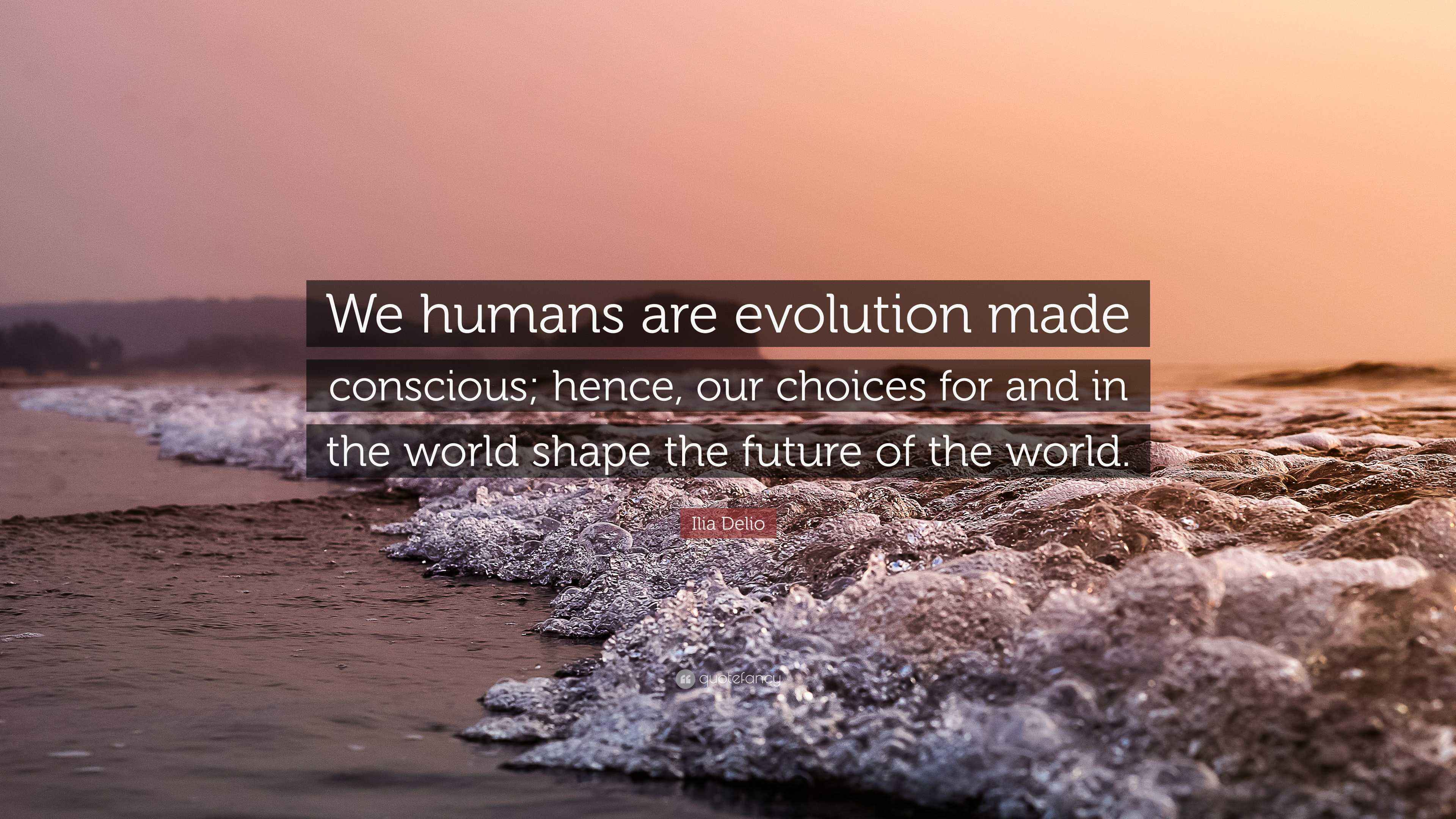 Ilia Delio Quote: “We humans are evolution made conscious; hence, our ...