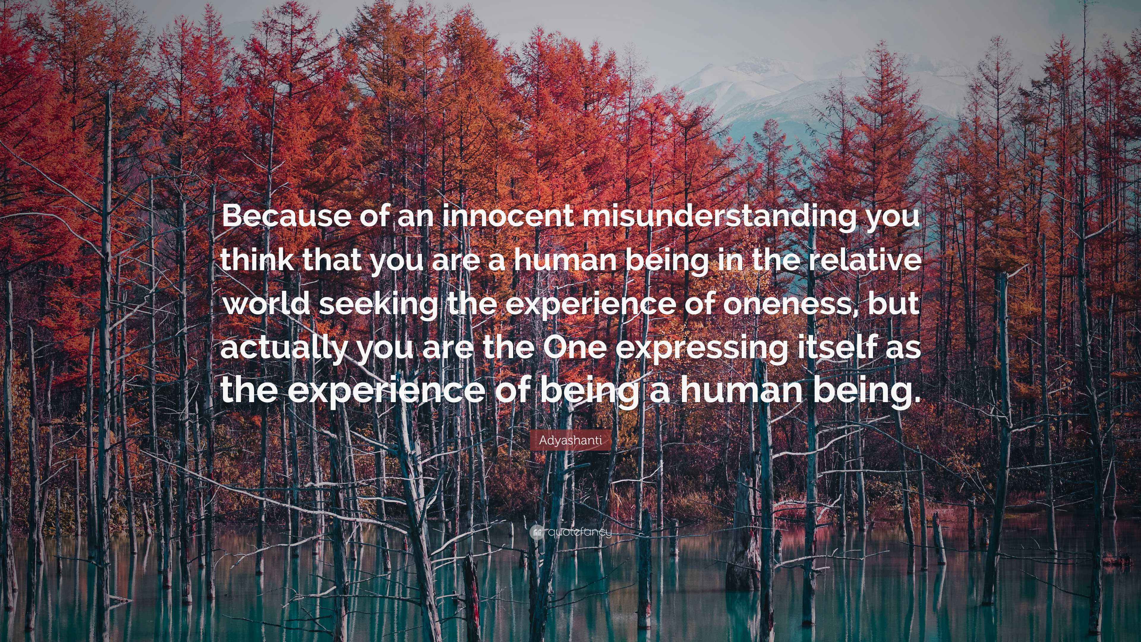 Adyashanti Quote: “Because of an innocent misunderstanding you think ...