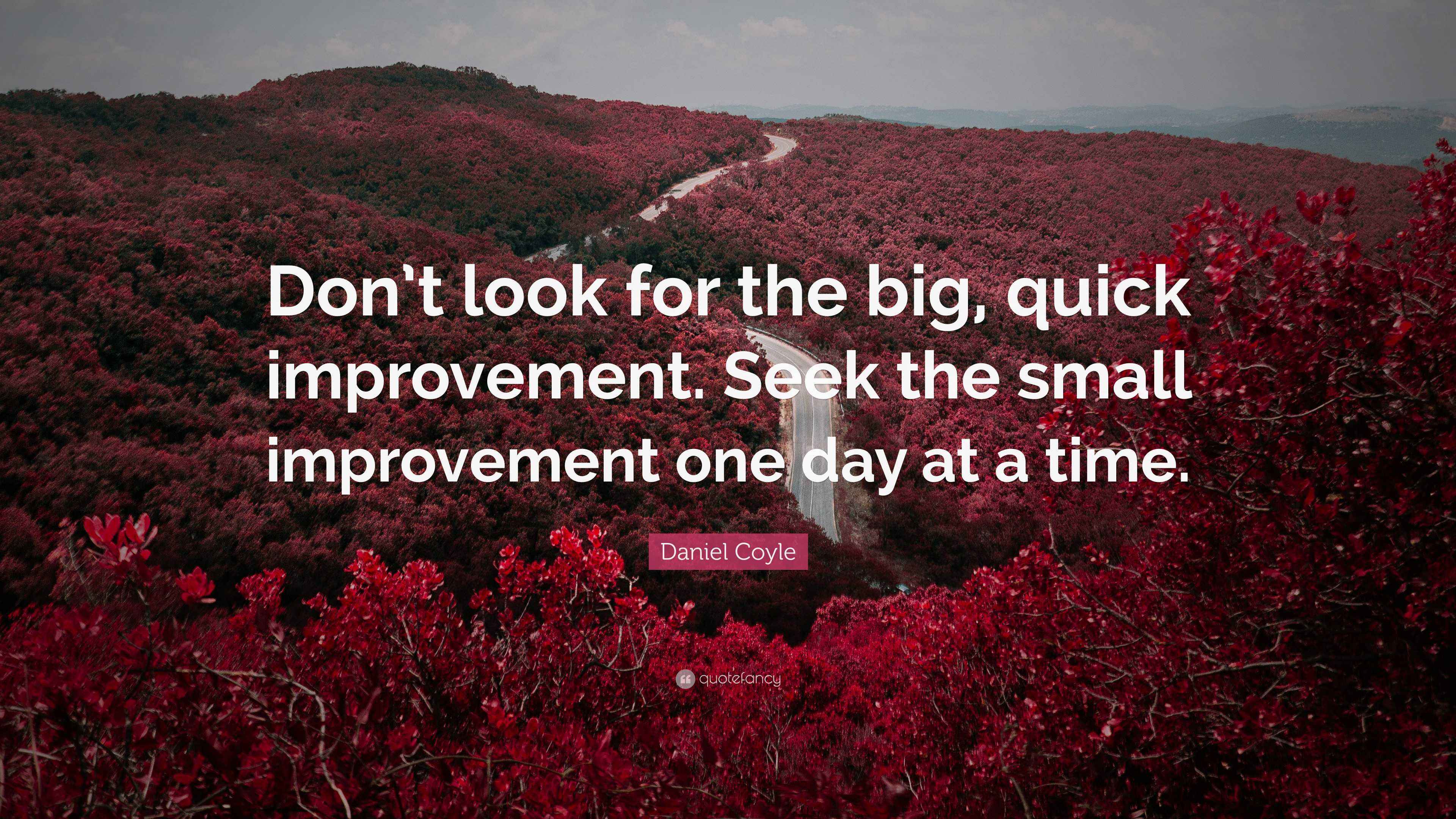 Daniel Coyle Quote: “Don’t look for the big, quick improvement. Seek ...