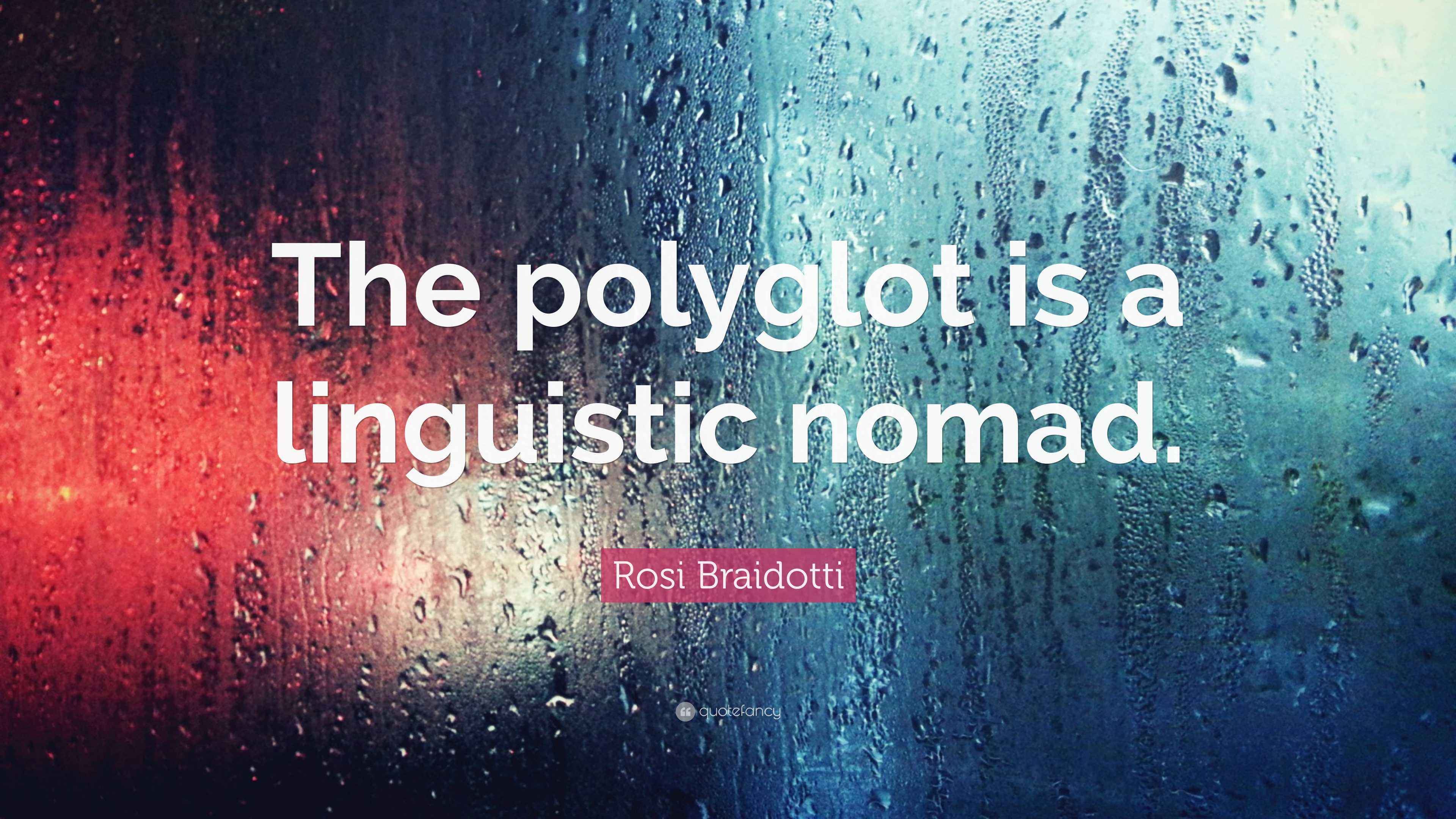 Rosi Braidotti Quote: “The polyglot is a linguistic nomad.”