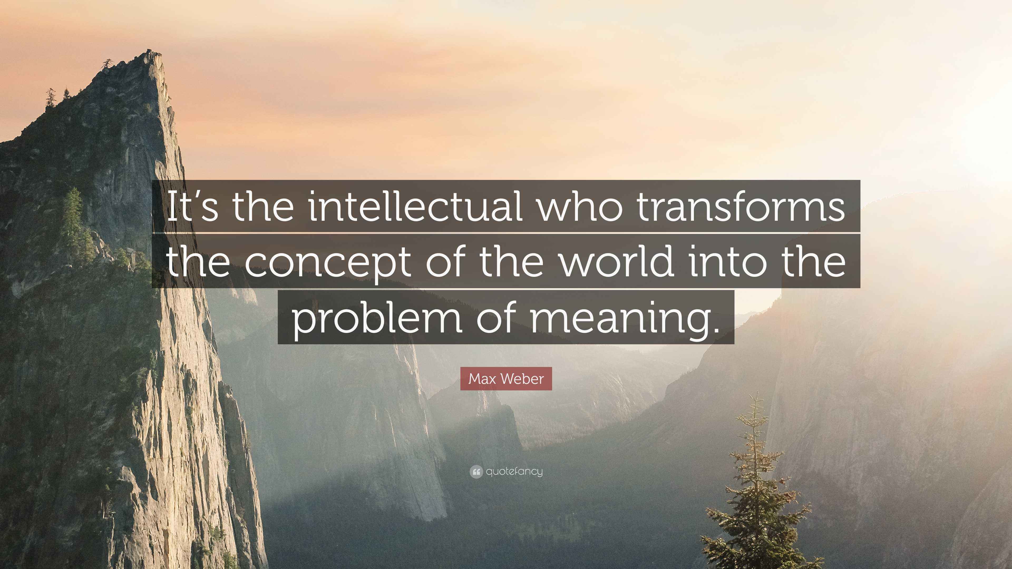 Max Weber Quote: “It’s the intellectual who transforms the concept of ...
