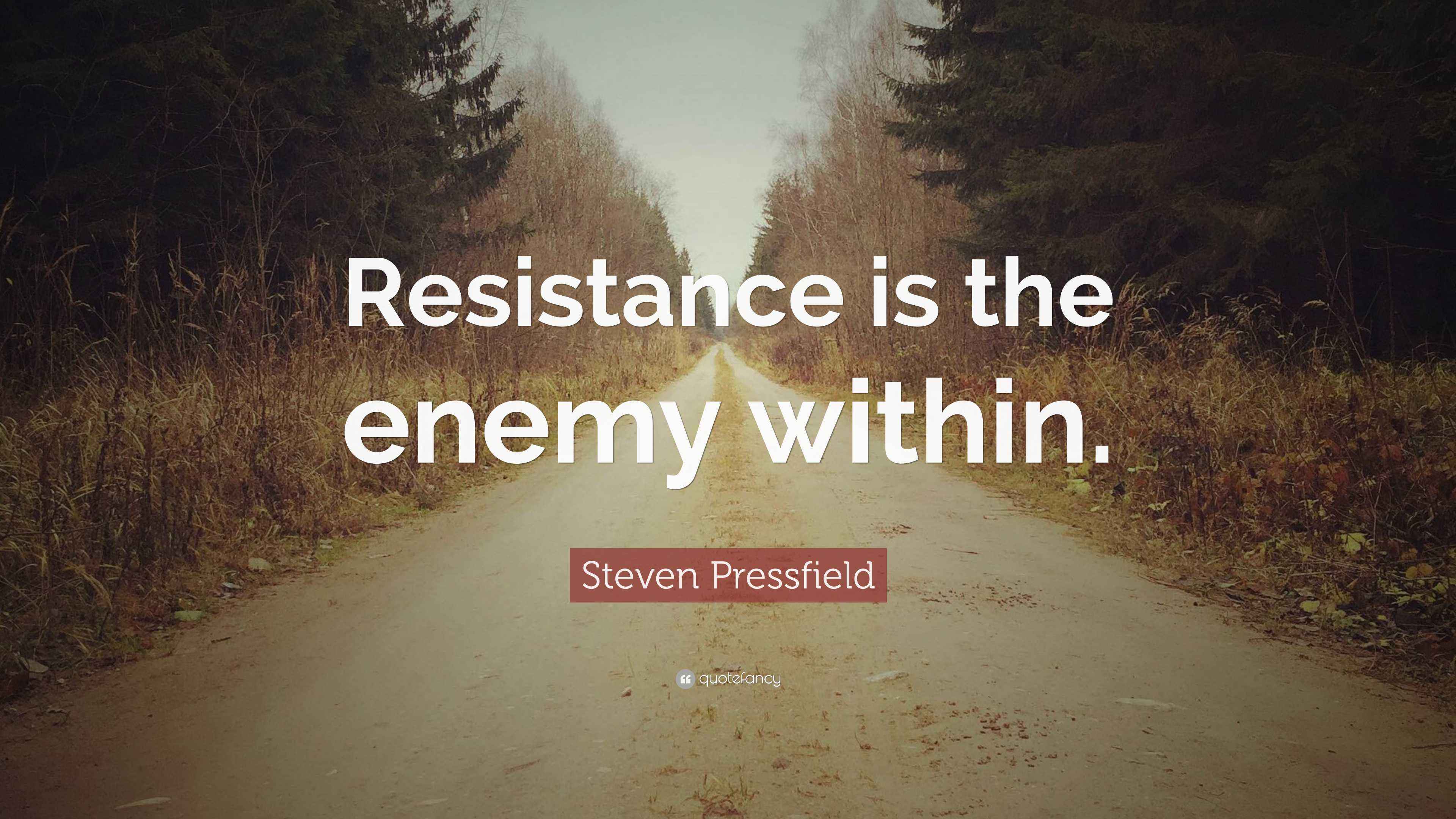 Steven Pressfield Quote: “Resistance is the enemy within.”