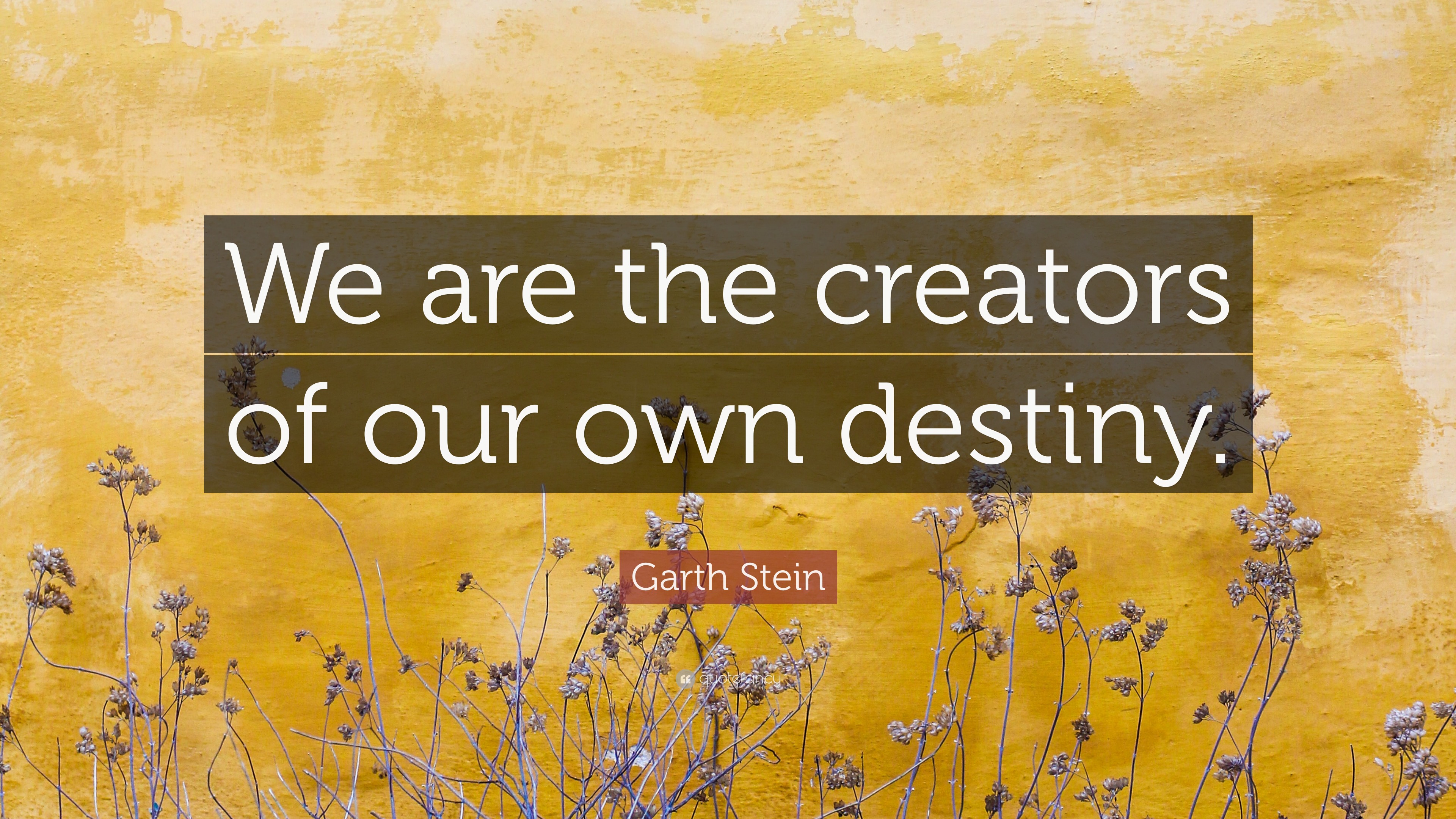 Garth Stein Quote: “We are the creators of our own destiny.”