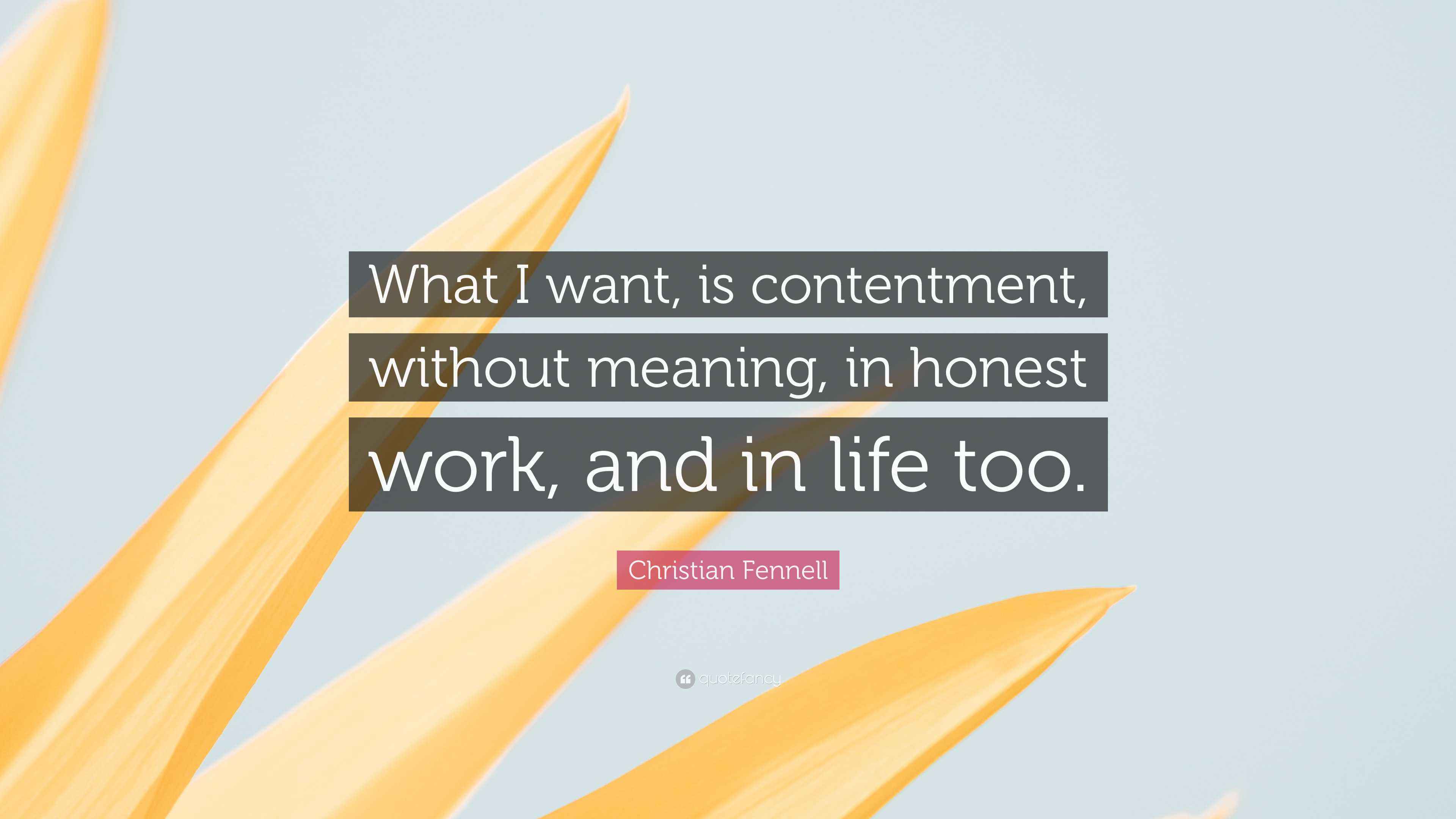 Christian Fennell Quote: “What I want, is contentment, without meaning ...