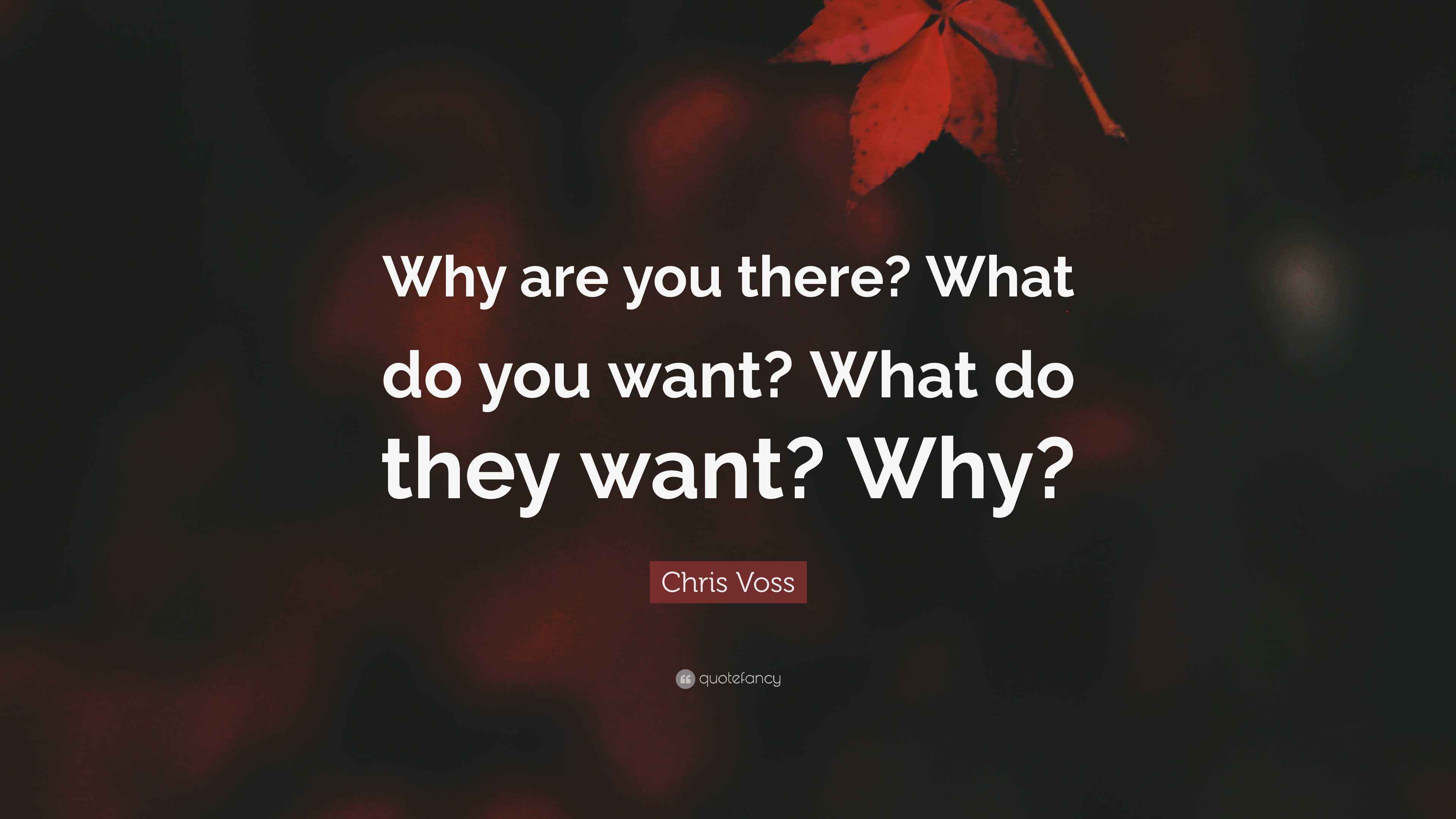 Chris Voss Quote: “Why are you there? What do you want? What do they ...