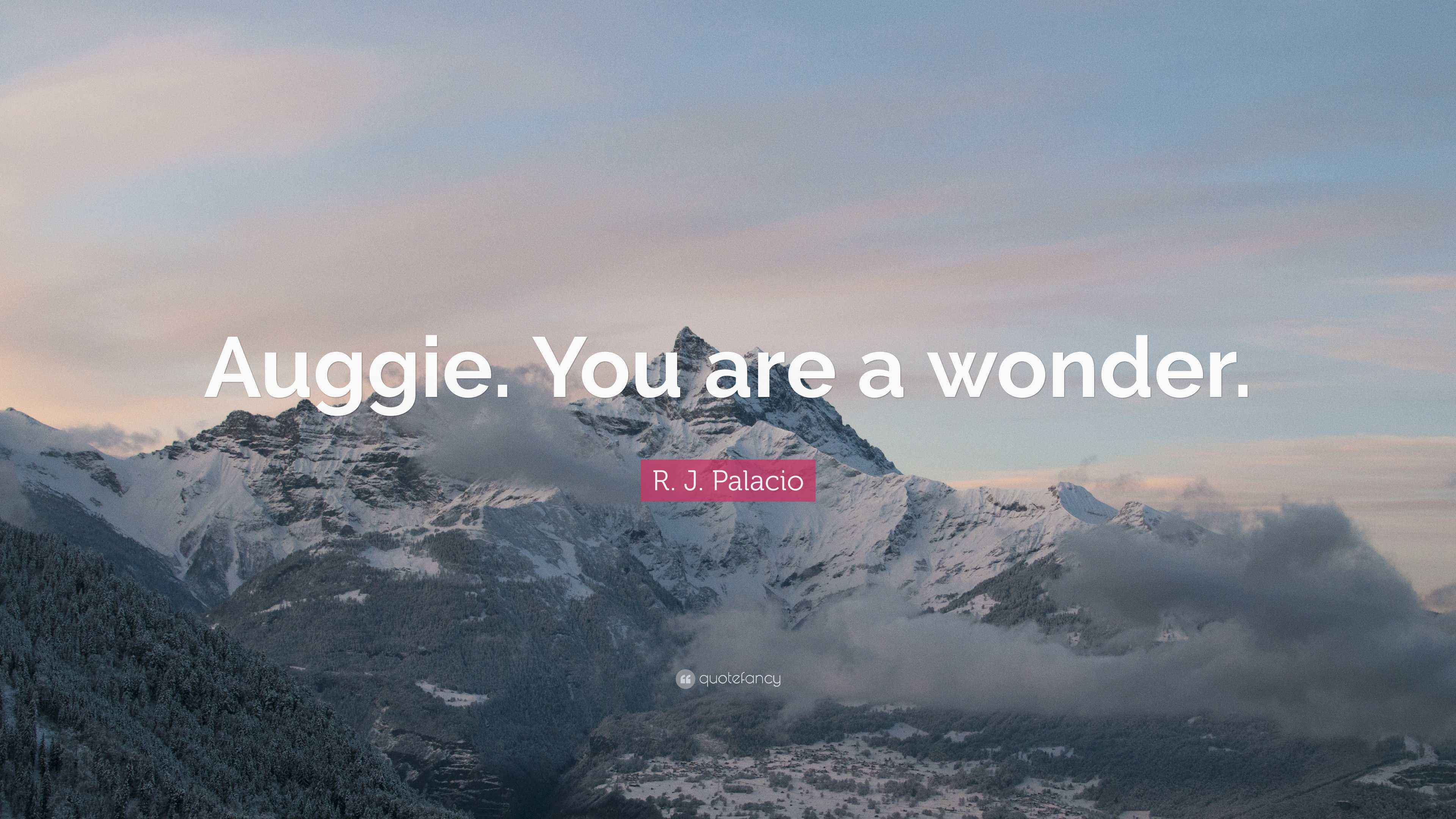 R. J. Palacio Quote: “Auggie. You are a wonder.”