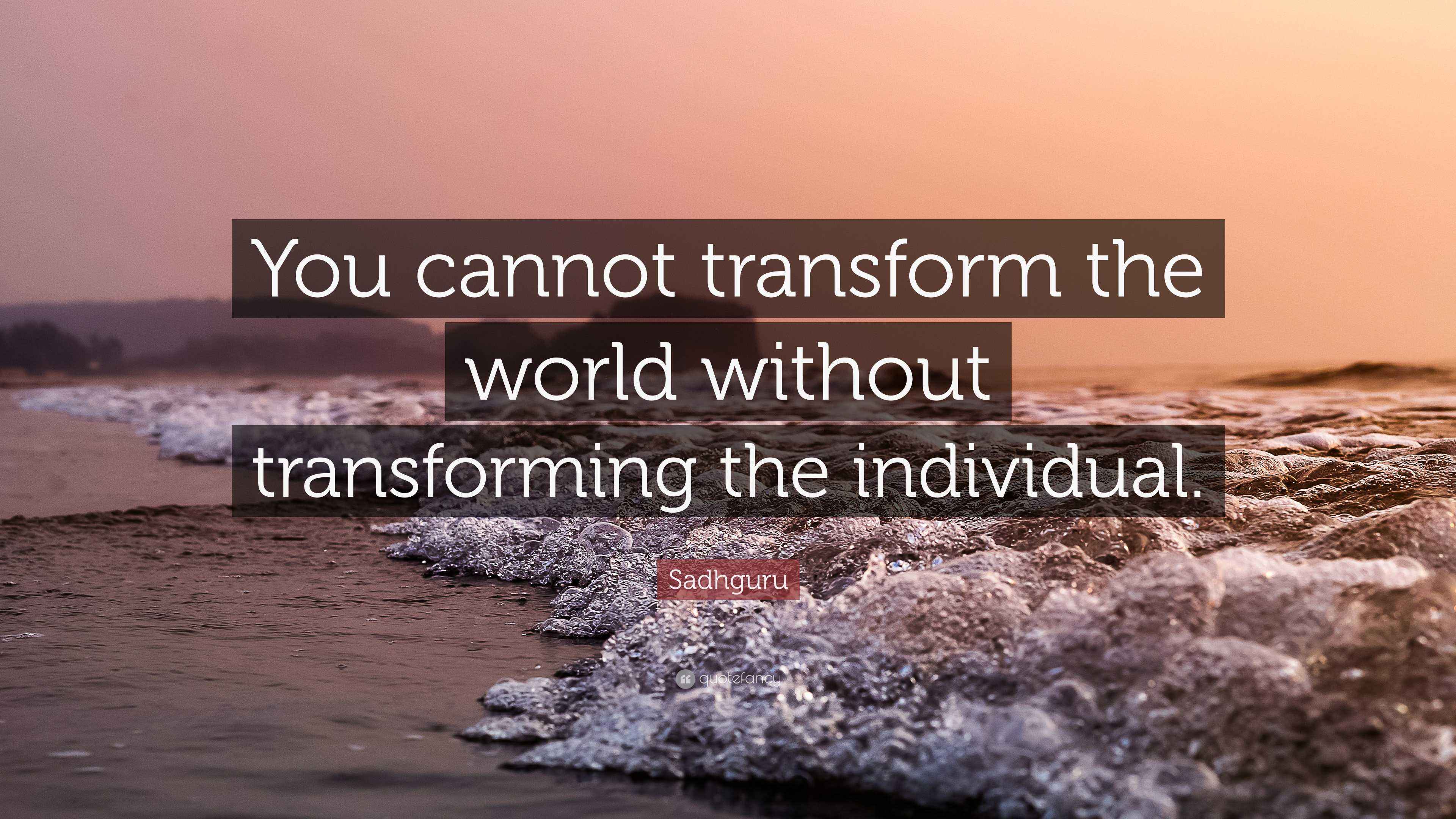 Sadhguru Quote: “You cannot transform the world without transforming ...