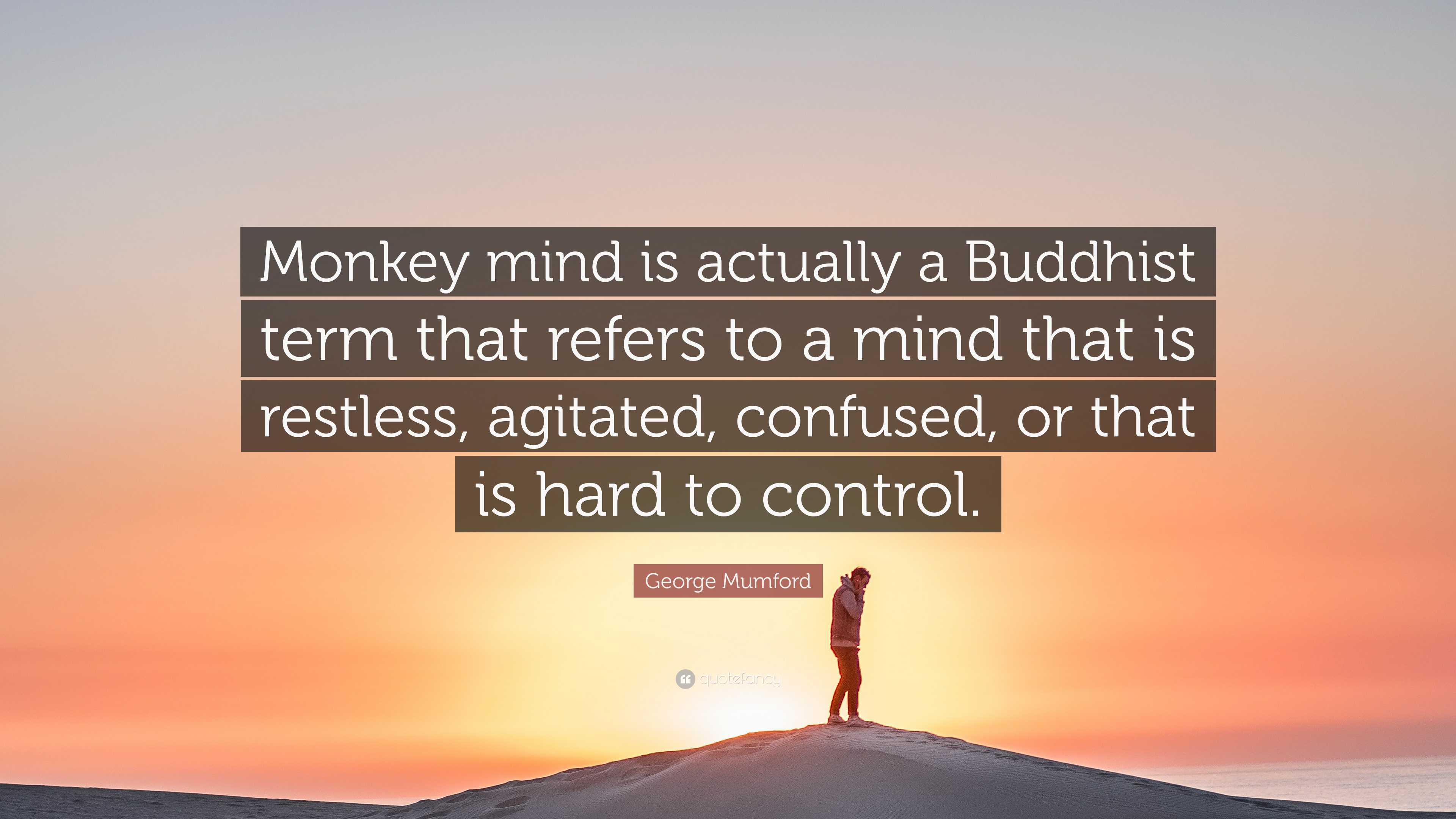 George Mumford Quote: “Monkey mind is actually a Buddhist term that ...
