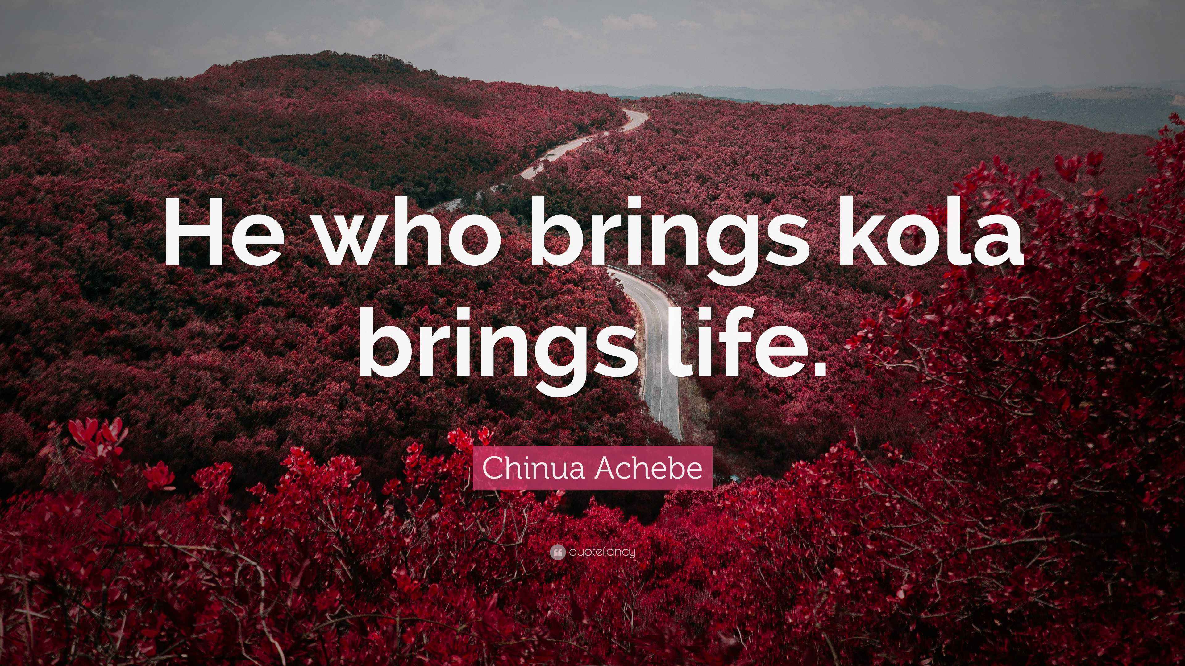 Chinua Achebe Quote: “He who brings kola brings life.”