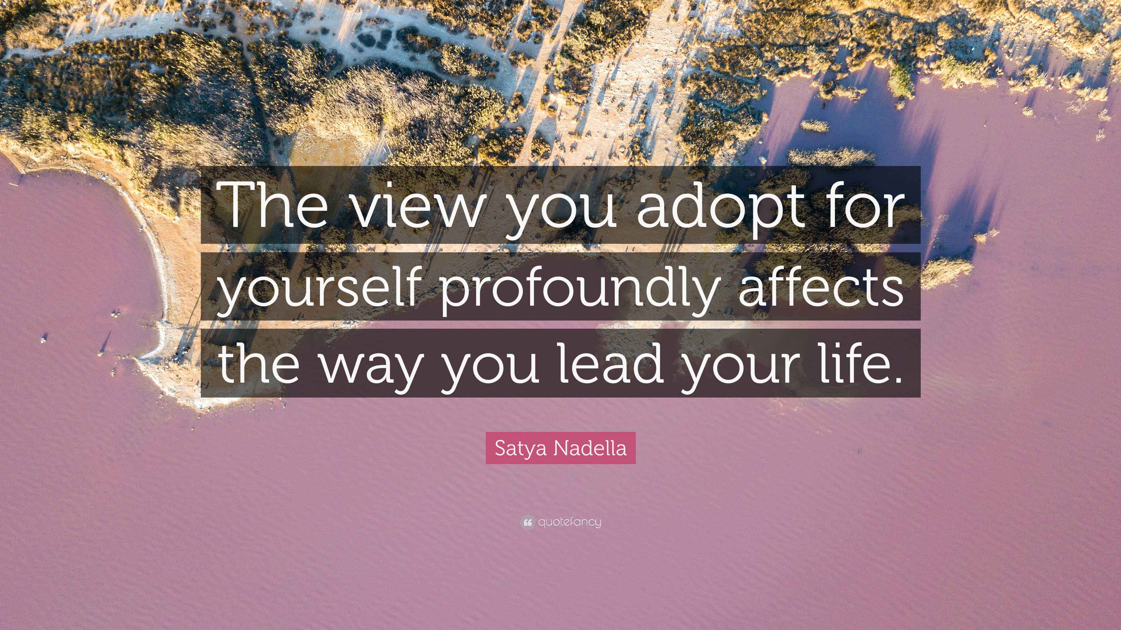 Satya Nadella Quote: “The view you adopt for yourself profoundly ...
