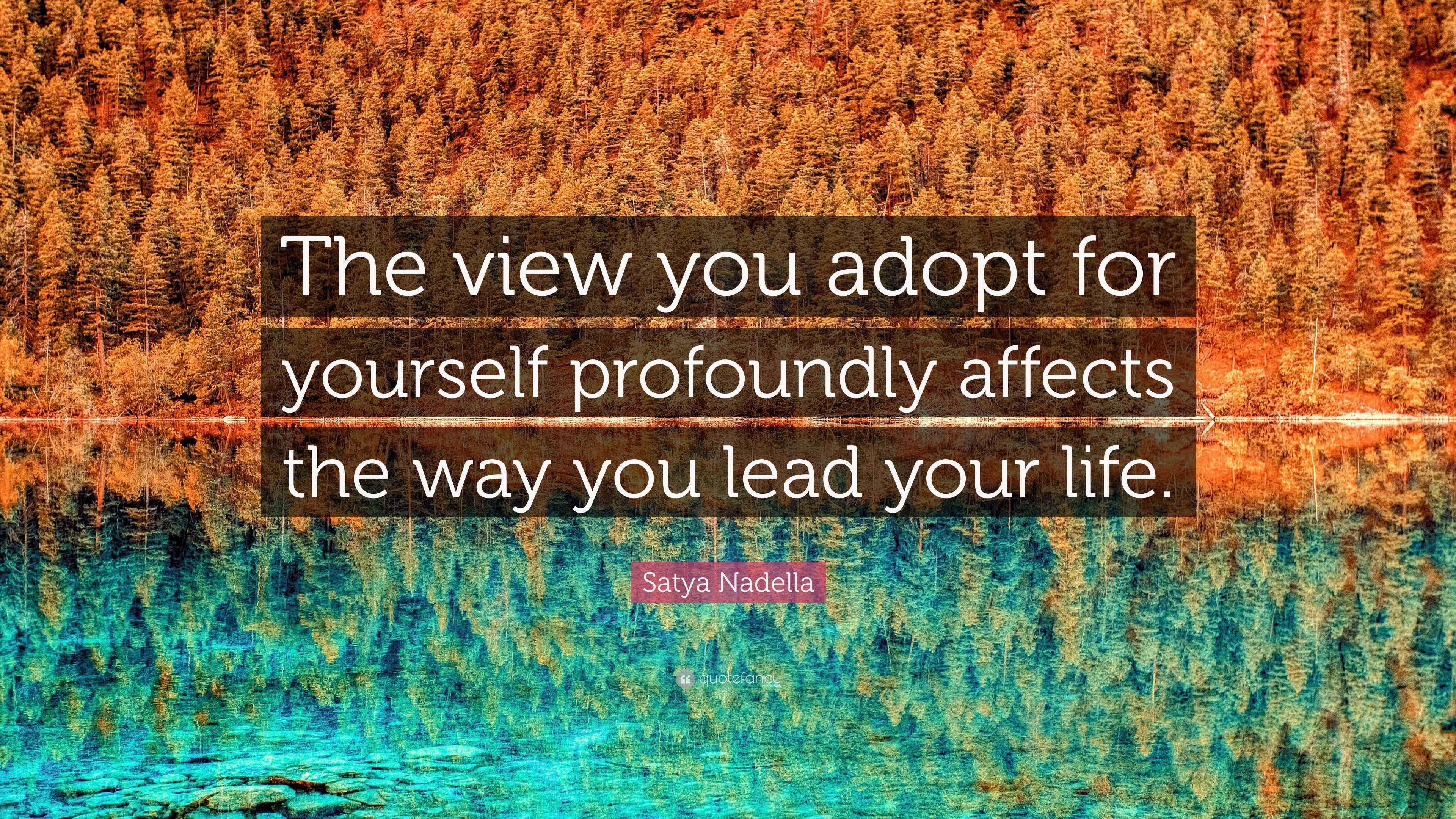 Satya Nadella Quote: “The view you adopt for yourself profoundly ...