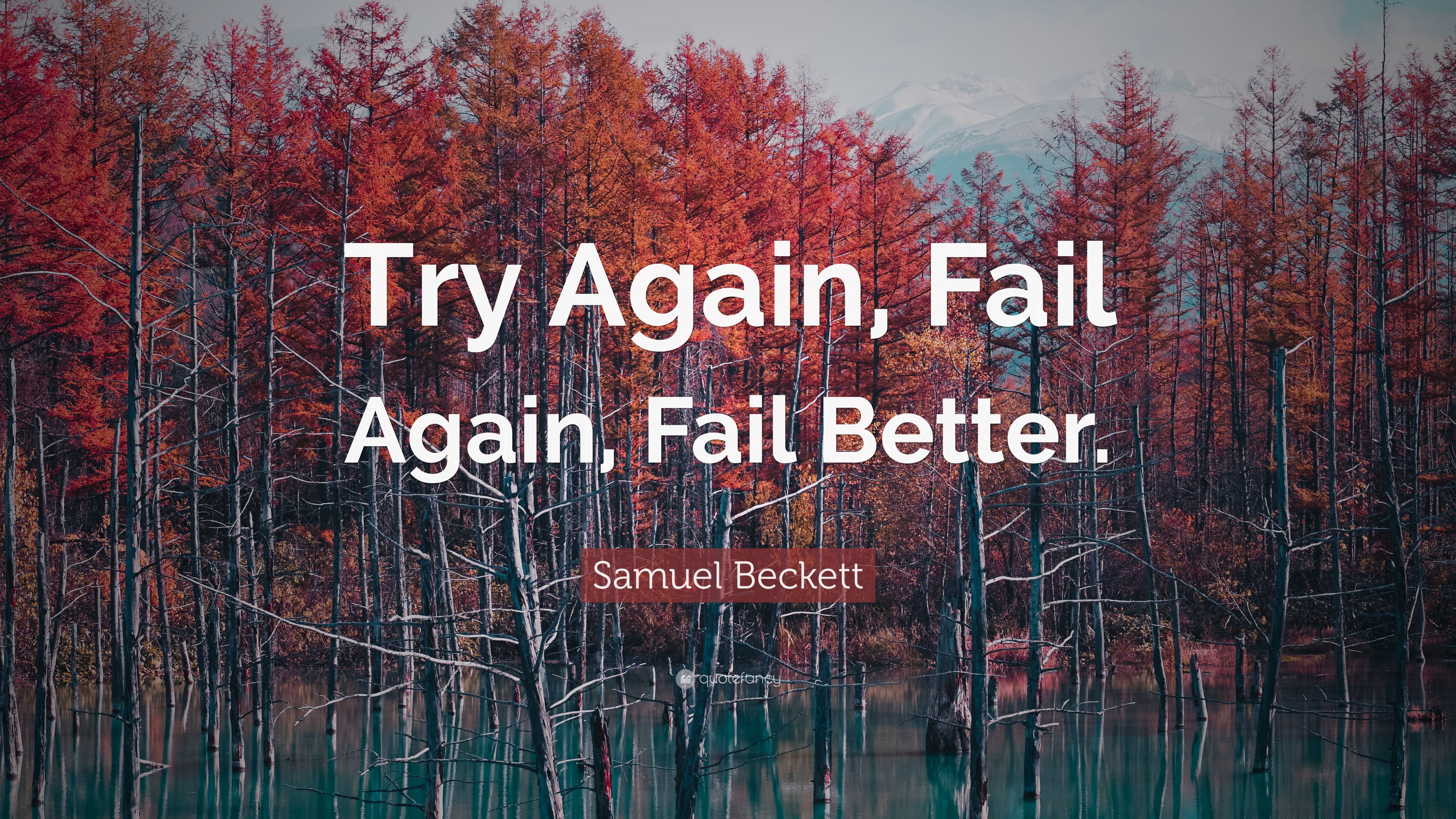 Samuel Beckett Quote: “Try Again, Fail Again, Fail Better.”