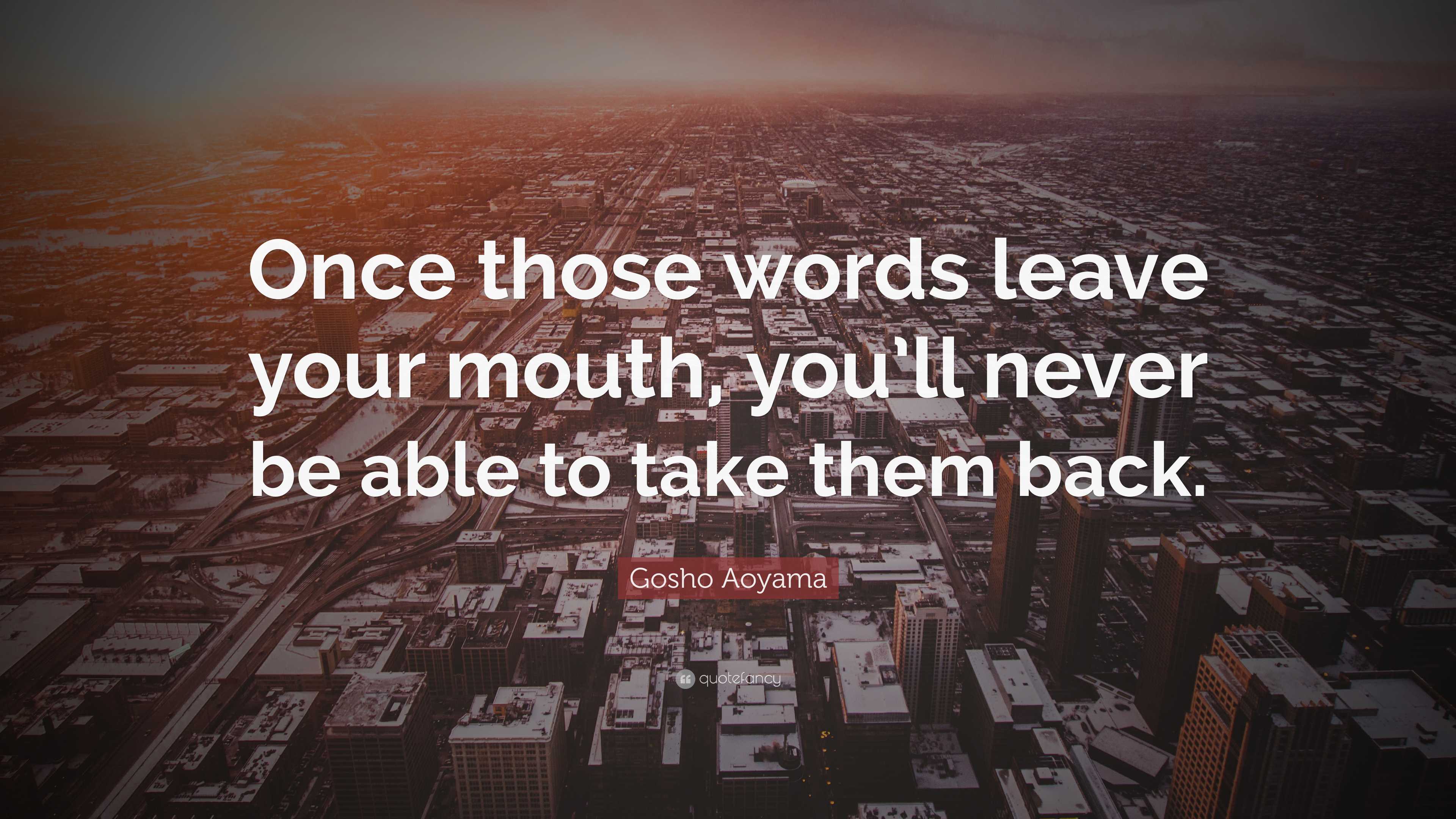 Gosho Aoyama Quote: “Once those words leave your mouth, you’ll never be ...