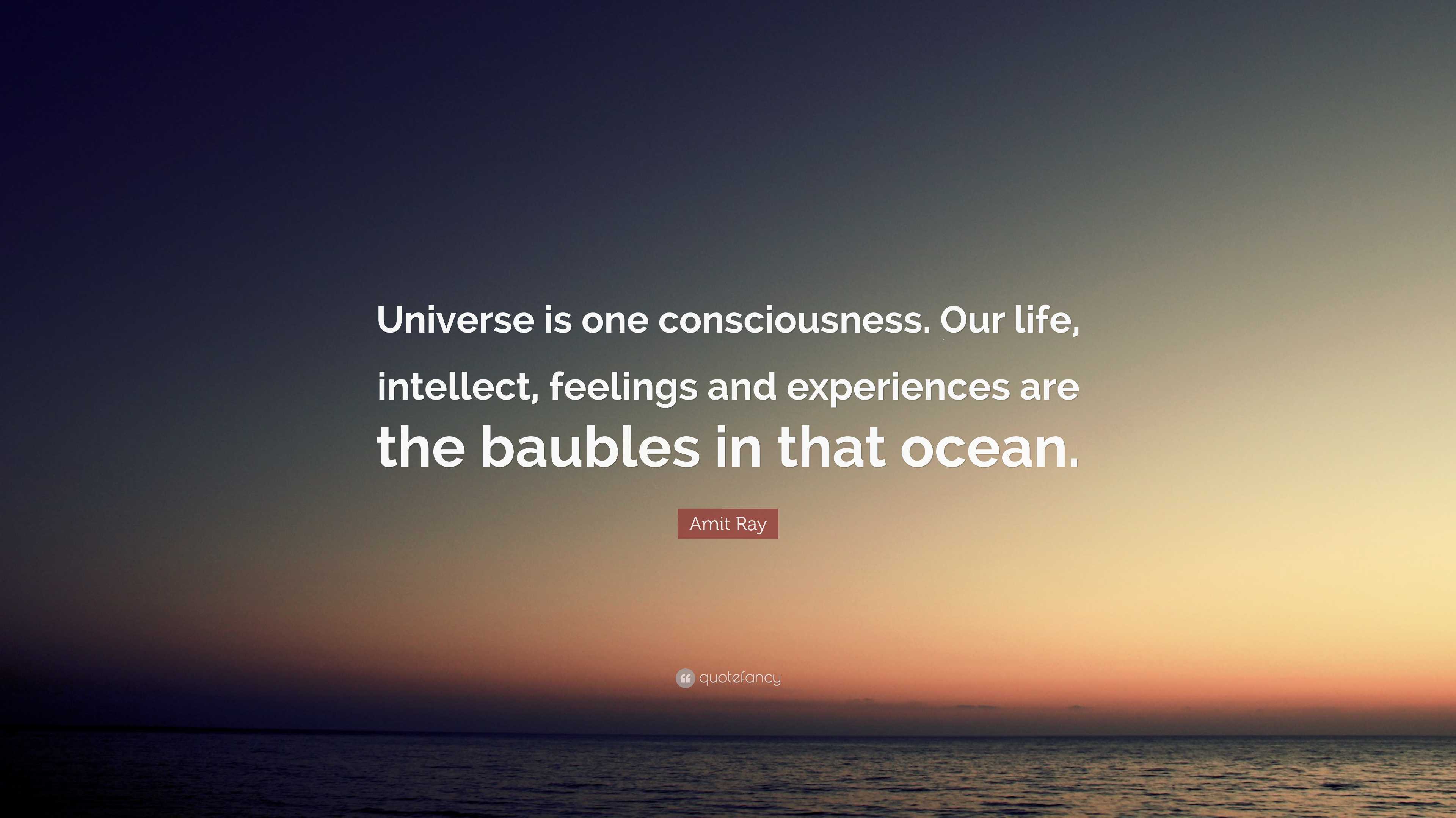 Amit Ray Quote: “Universe is one consciousness. Our life, intellect ...