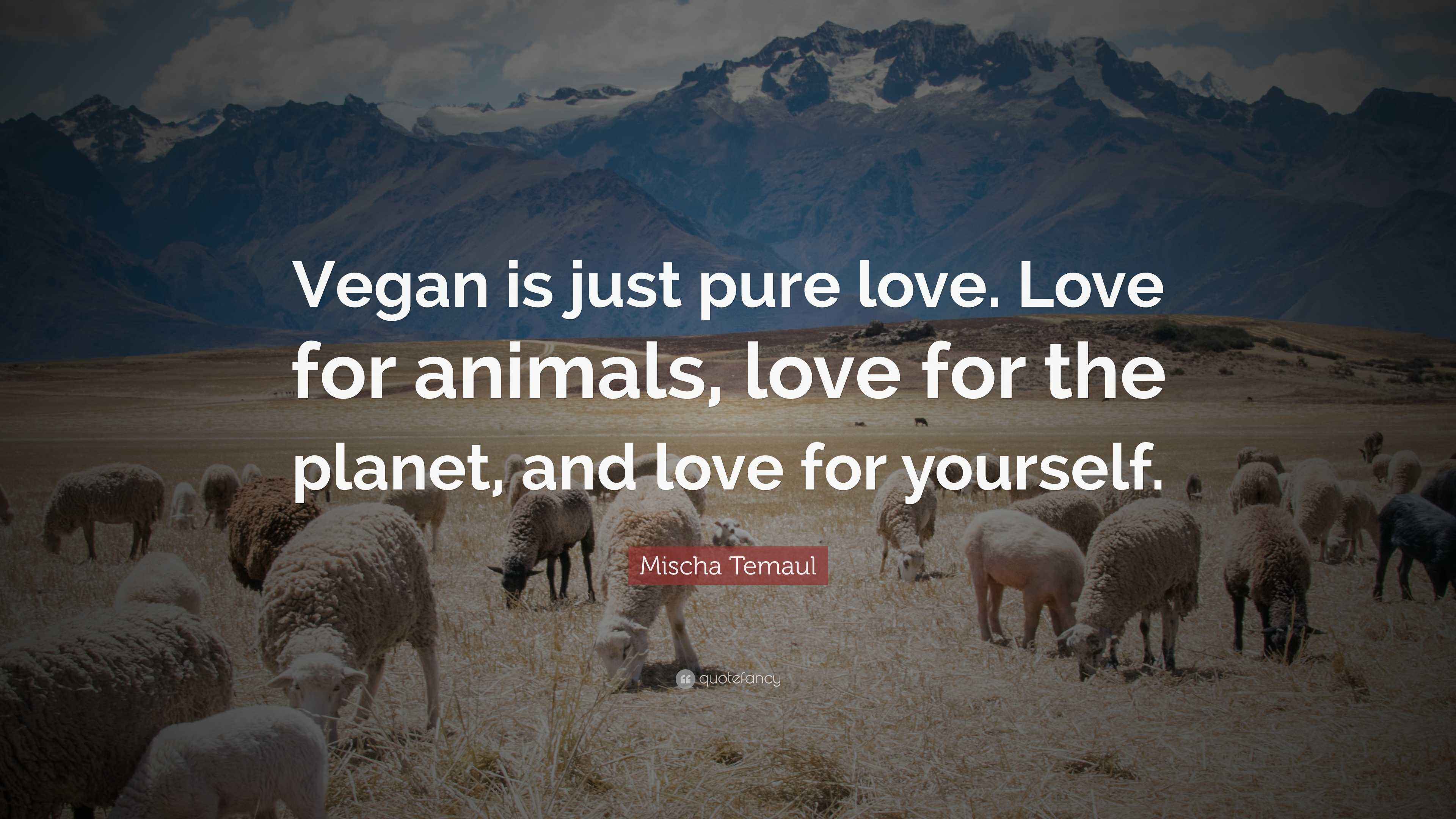 Mischa Temaul Quote: “Vegan is just pure love. Love for animals, love ...