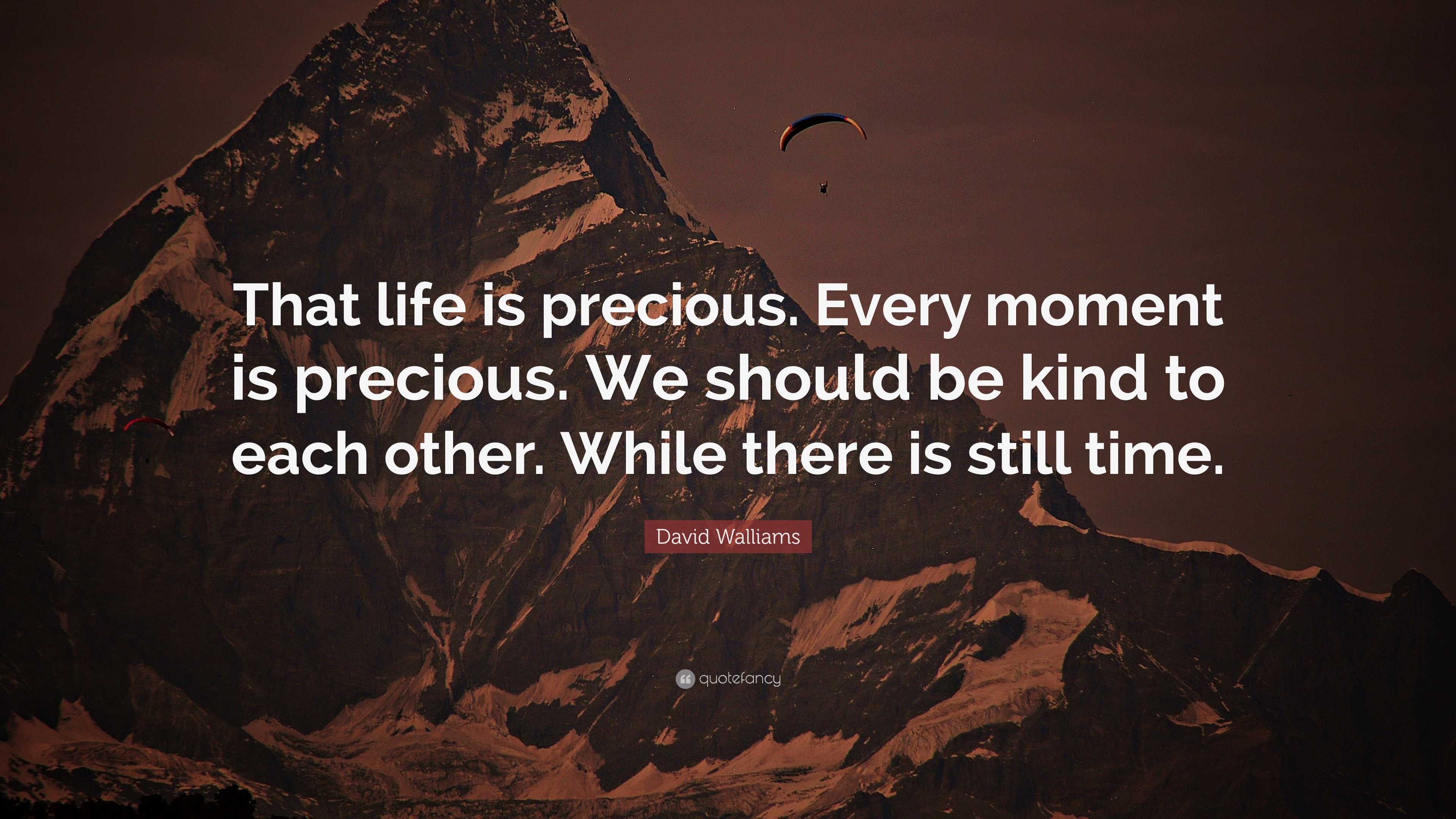 David Walliams Quote: “That life is precious. Every moment is precious ...