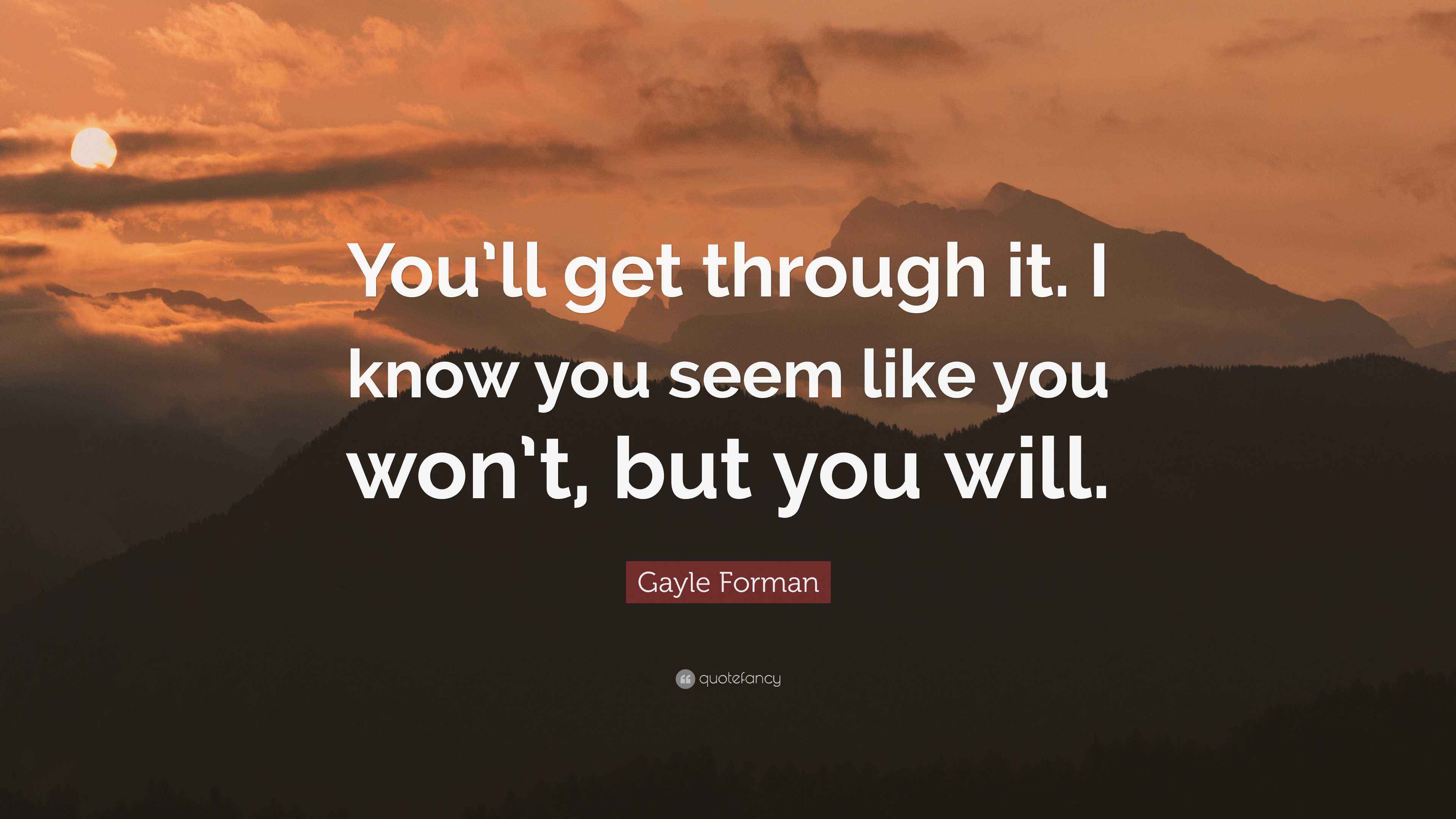 Gayle Forman Quote: “You’ll get through it. I know you seem like you ...