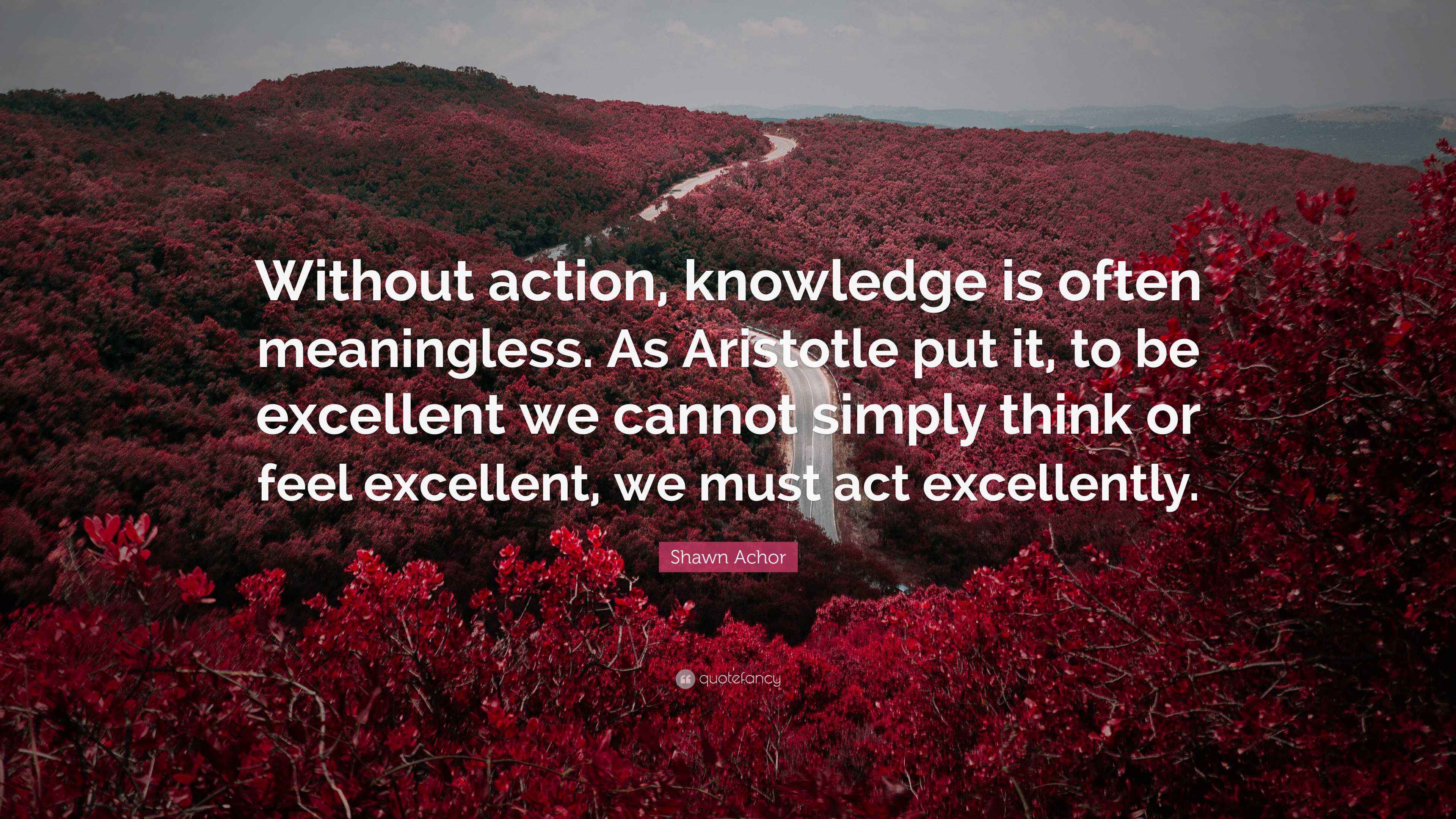 Shawn Achor Quote: “Without action, knowledge is often meaningless. As ...