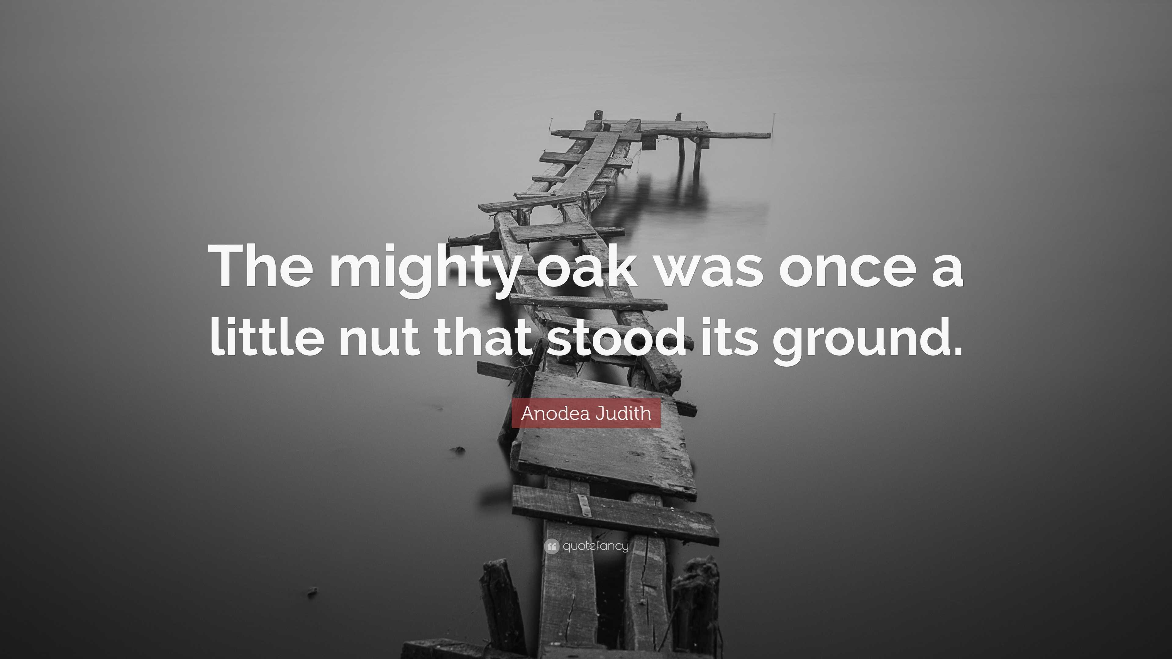Mighty Oak Quote Art Print Quote From Little Acorns Mighty Oaks