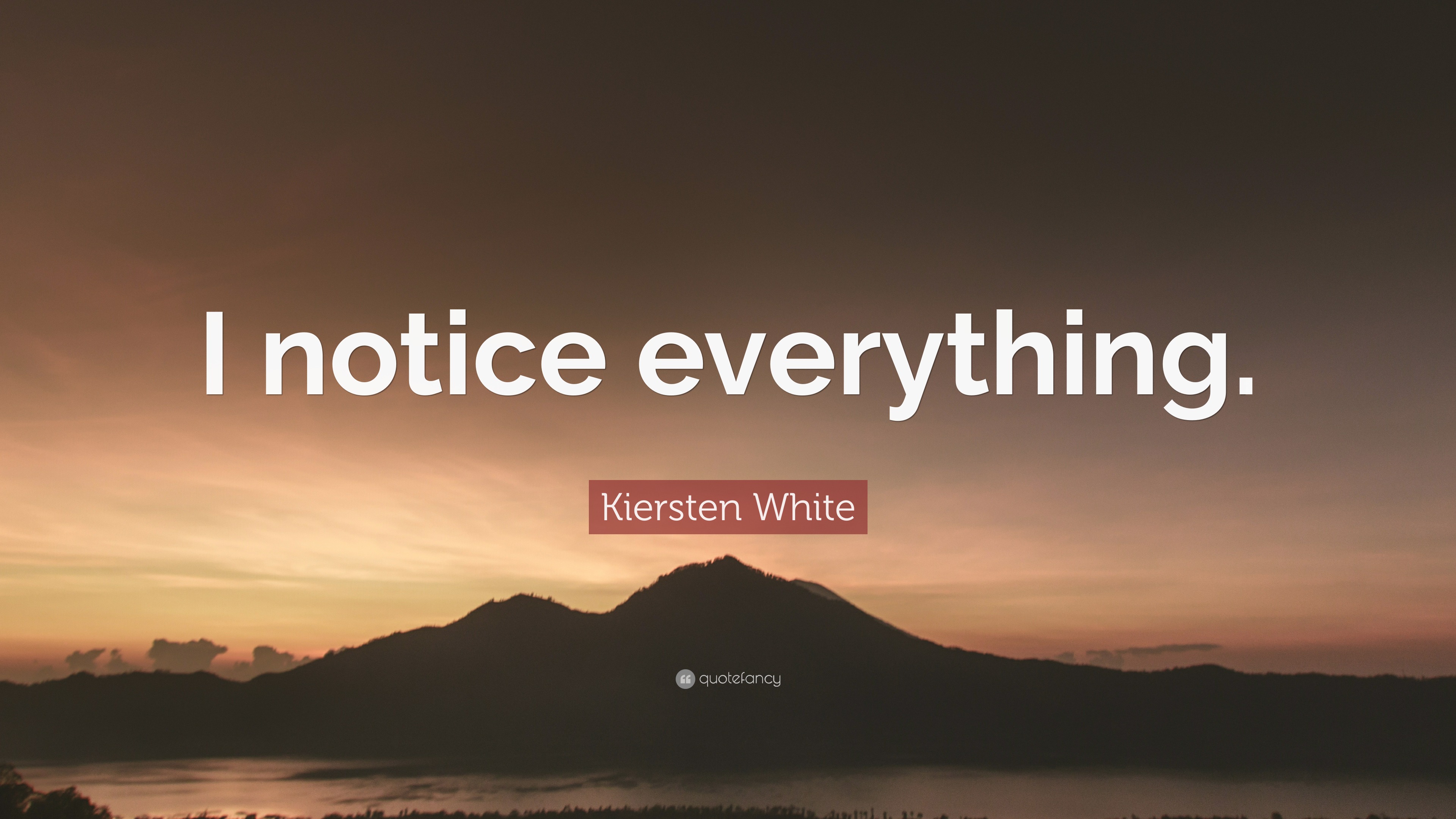 Kiersten White Quote: “I notice everything.”