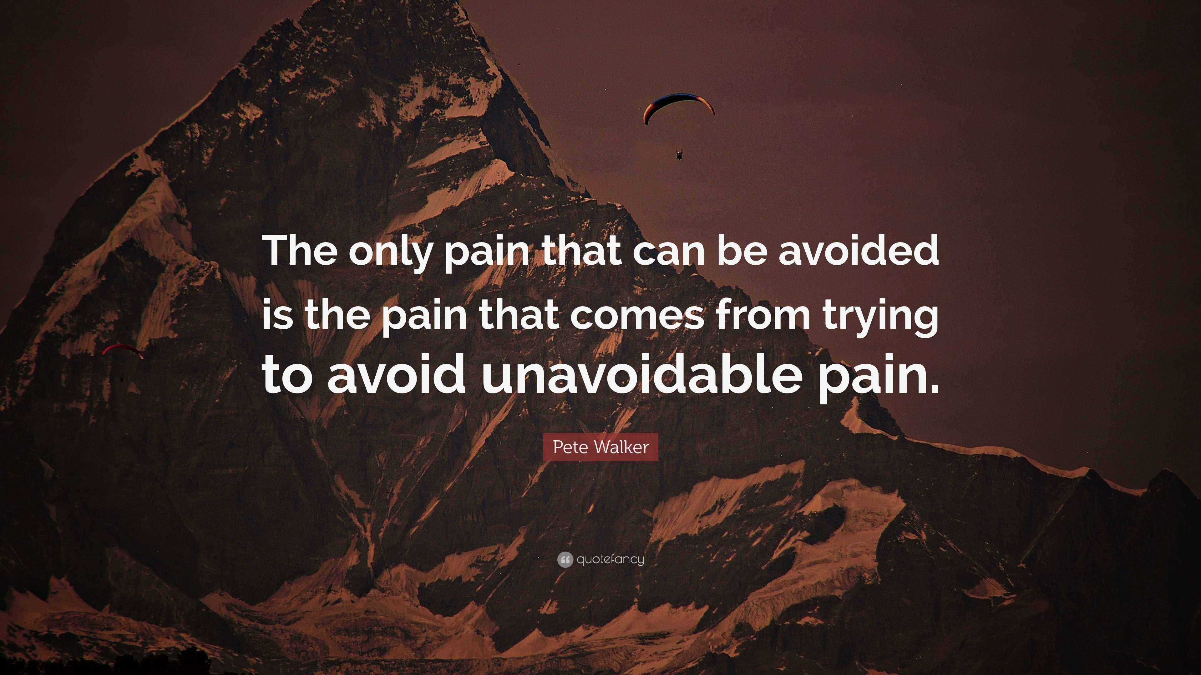 Pete Walker Quote: “The only pain that can be avoided is the pain that ...
