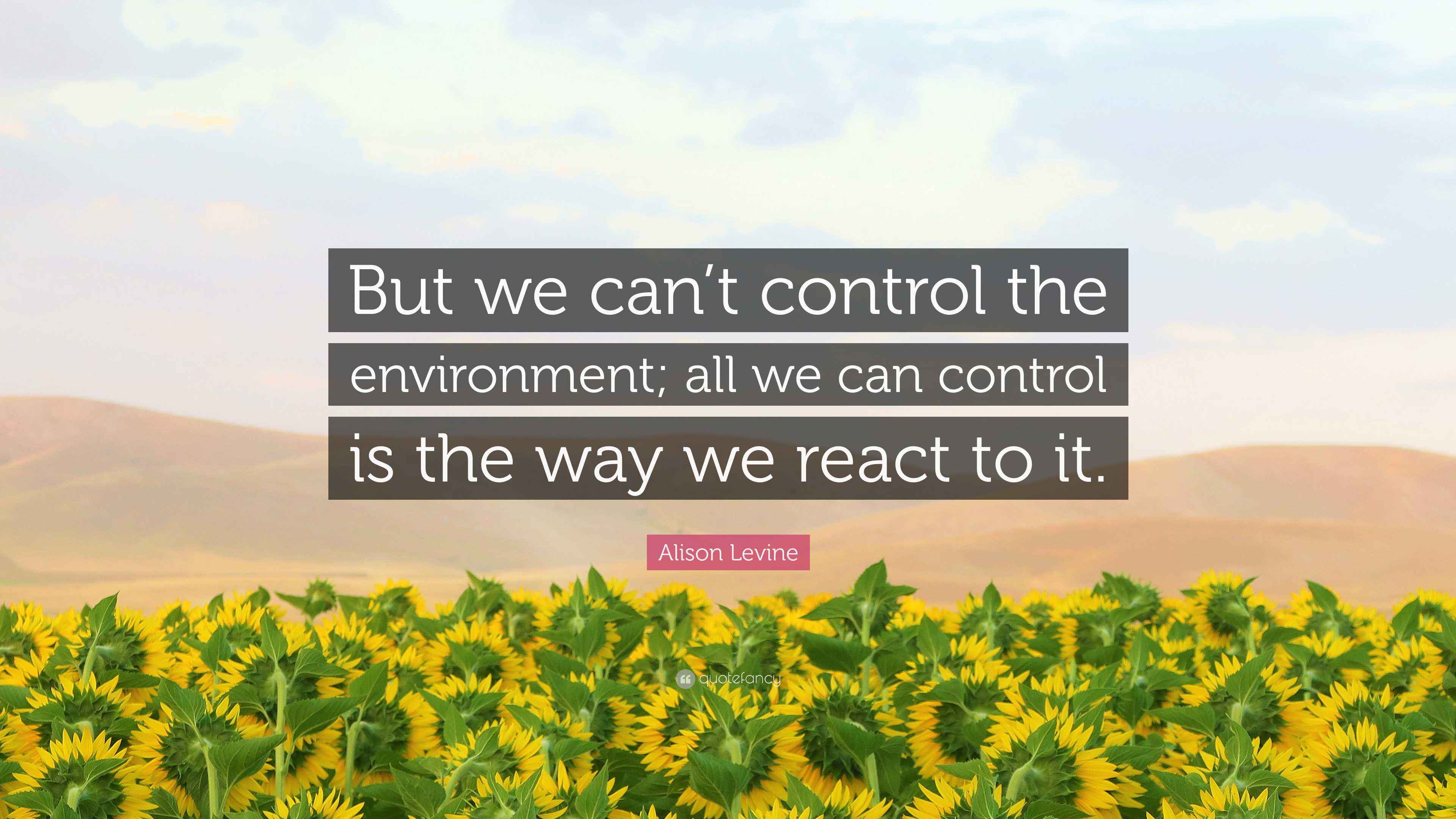 Alison Levine Quote: “But we can’t control the environment; all we can ...