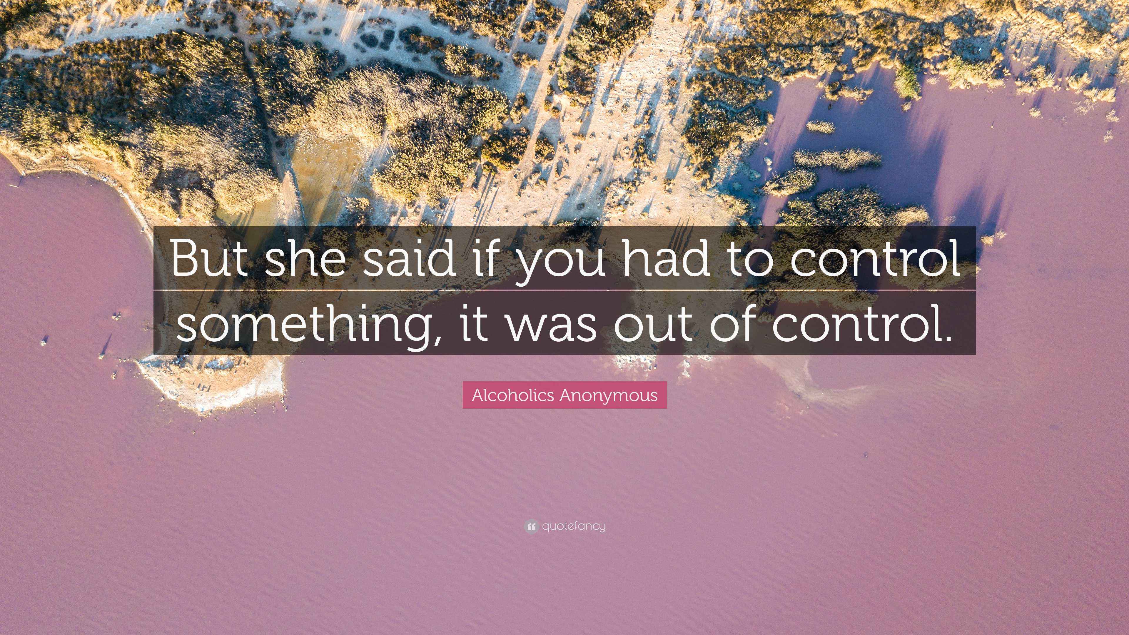 Alcoholics Anonymous Quote: “But she said if you had to control ...